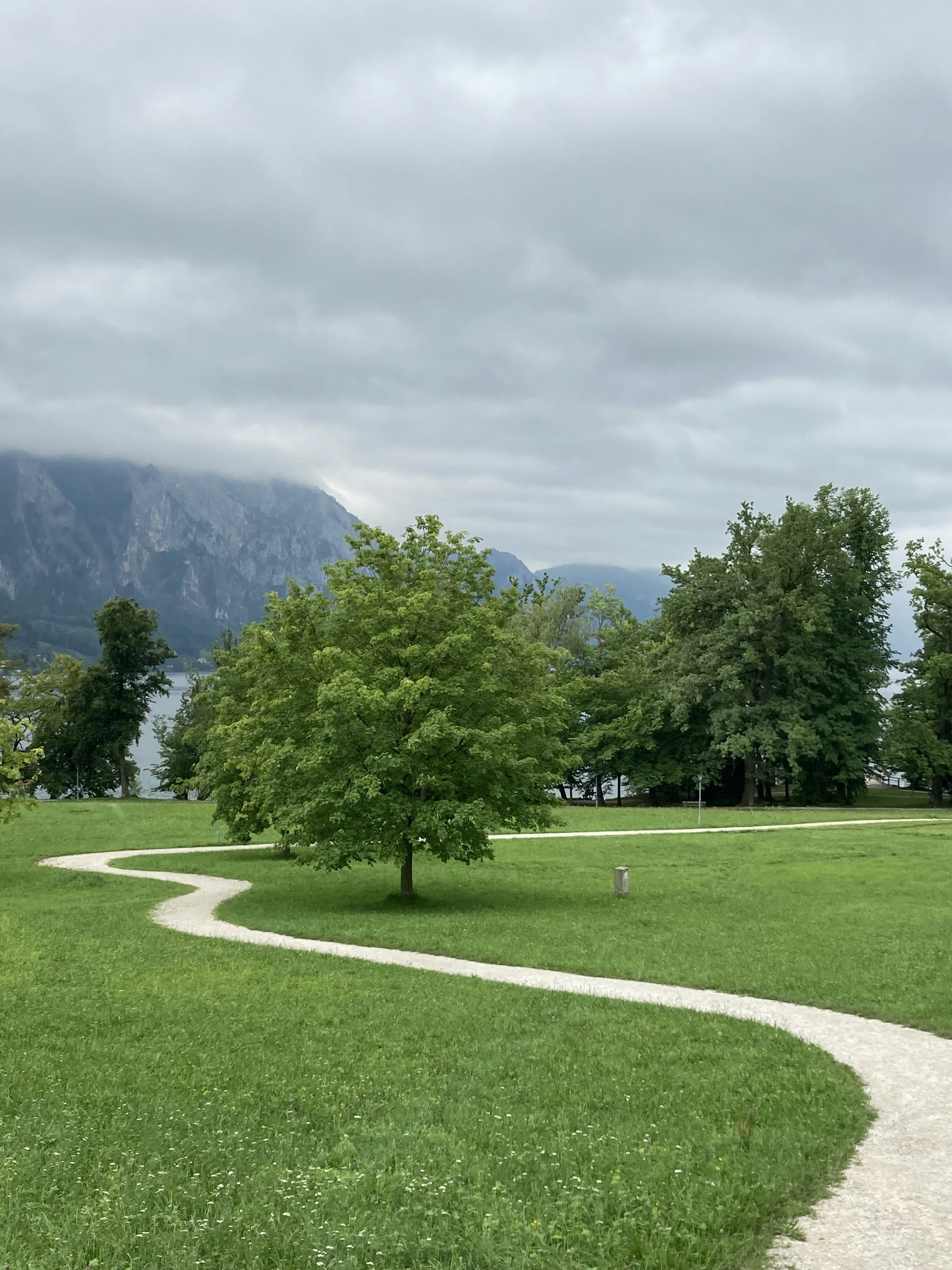 Winding Park Path Toward Misty Peaks
