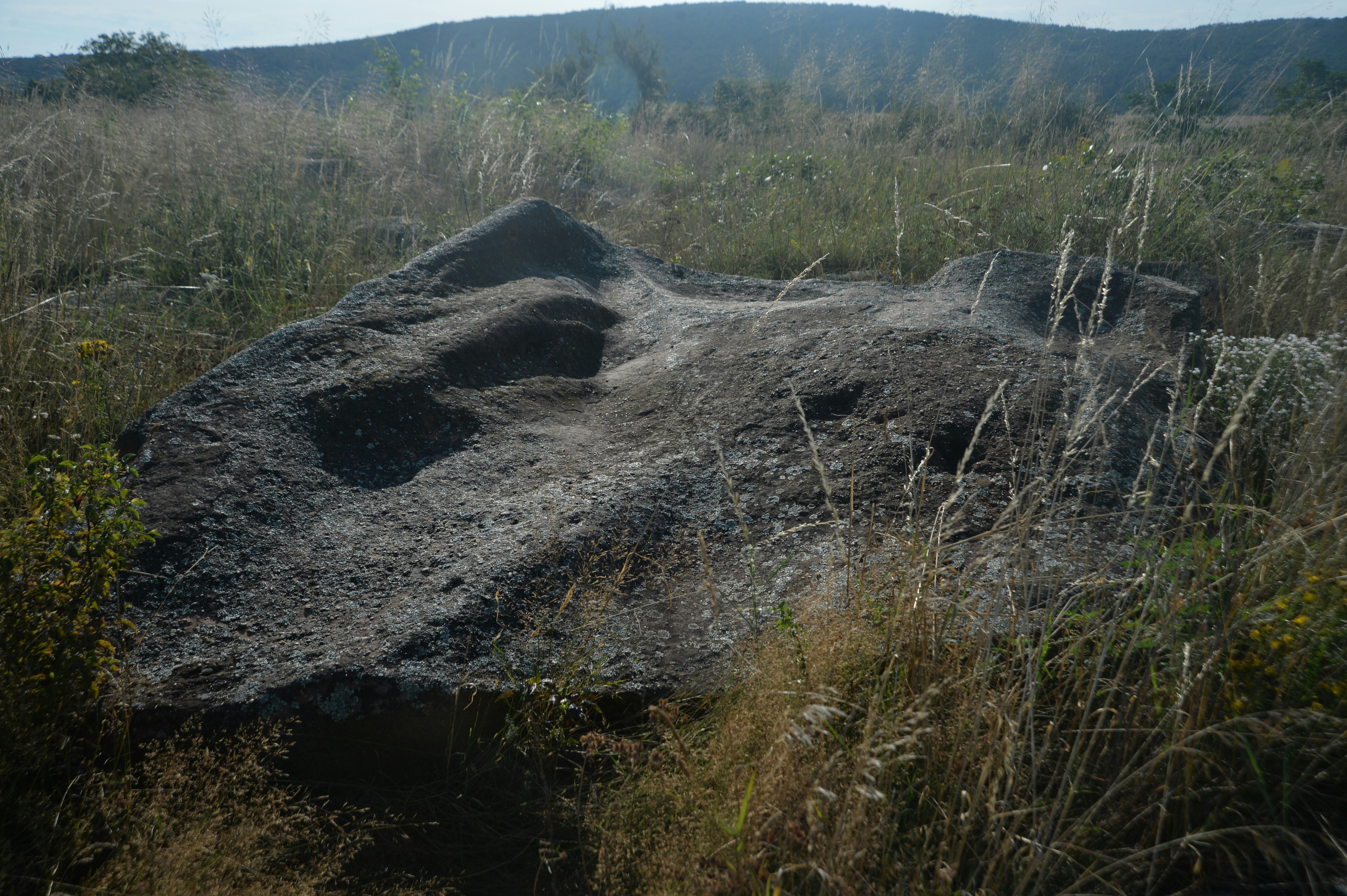 Photo by Balikó András with Nikon Df