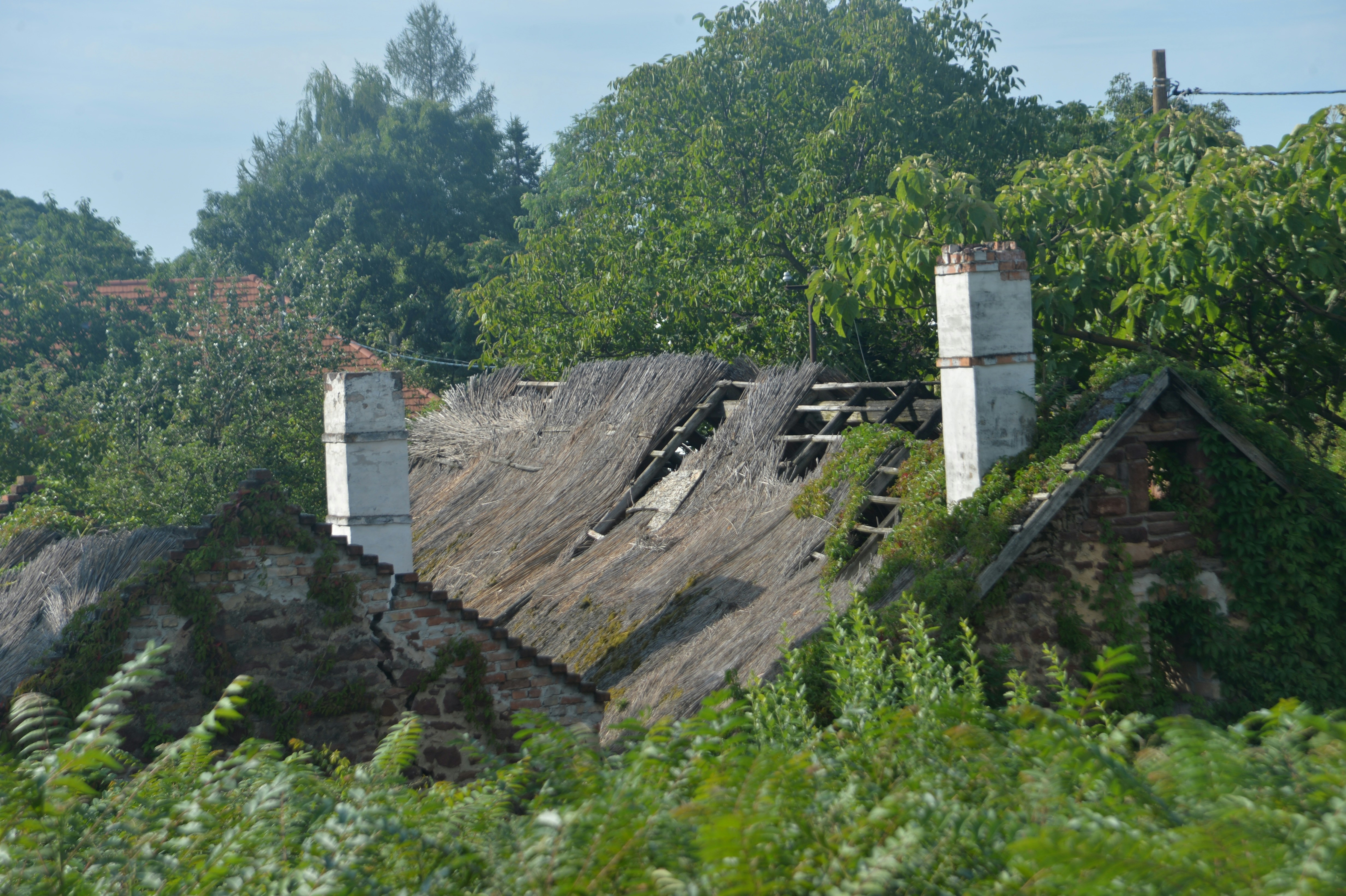 an old run down building in the middle of a forest