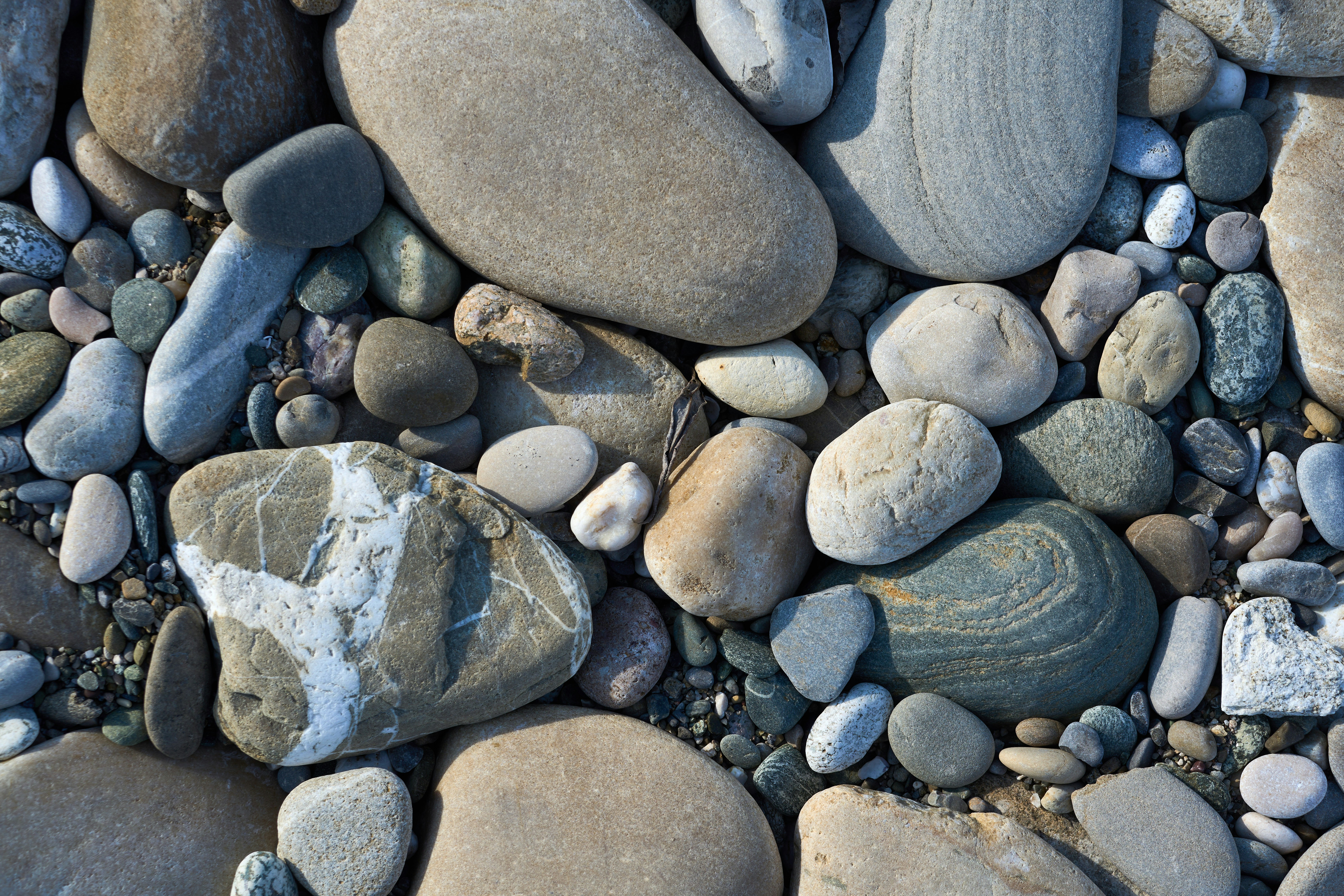A bunch of rocks that are laying on the ground photo – Free Pebble ...