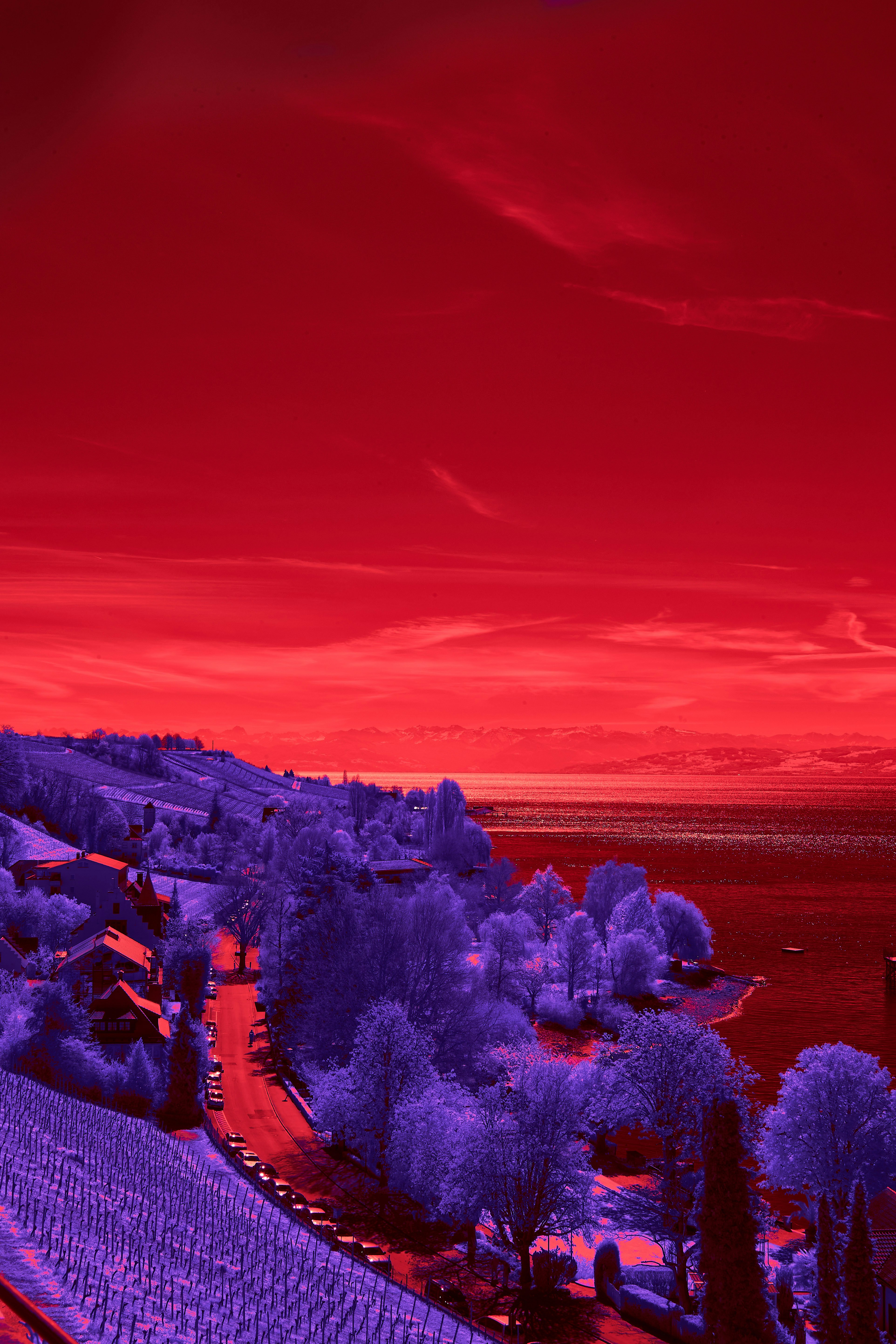 A red sky over a snowy landscape with trees photo – Free Nature Image ...
