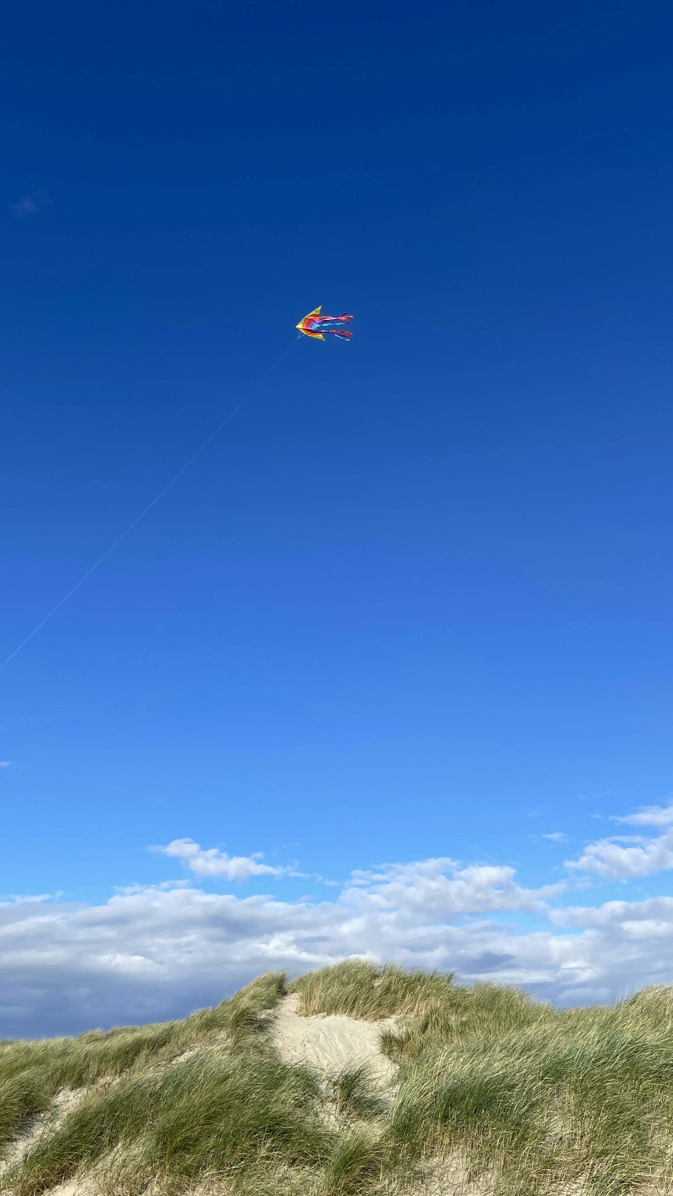 a person flying a kite on top of a sandy beach