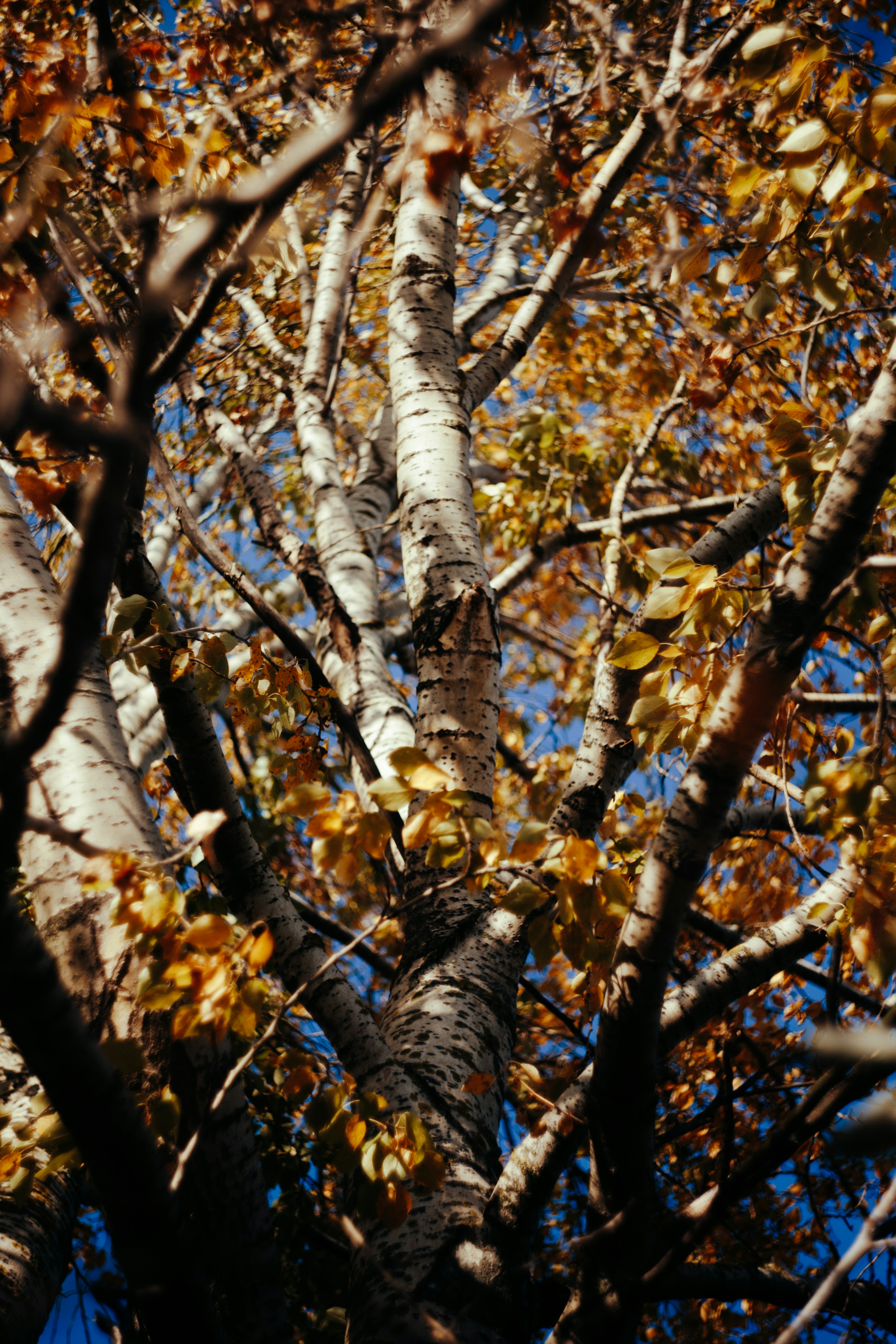 Photo by Klara Kulikova with Canon EOS 6D