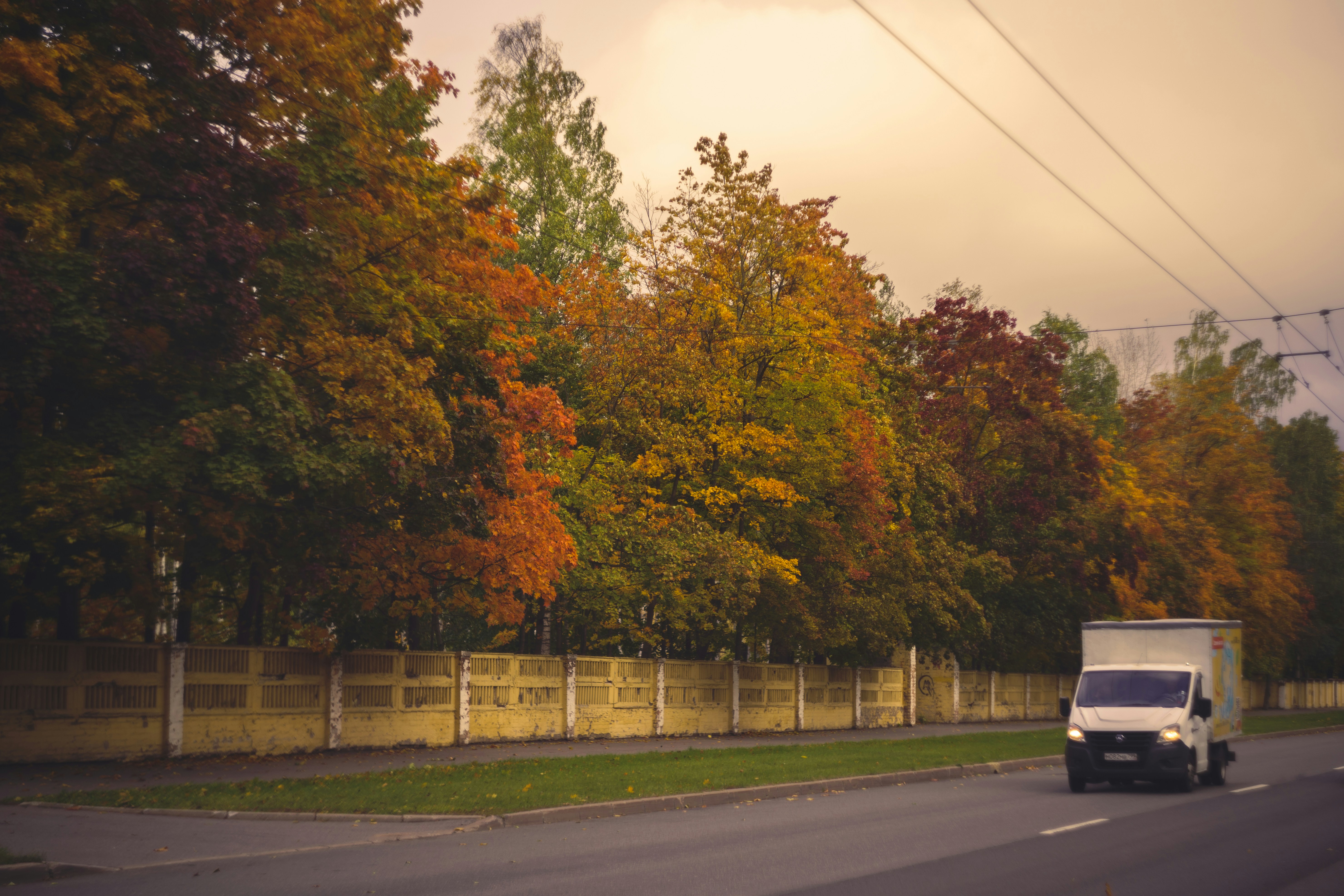 Autumn Street: A Quiet Drive Past Autumnal Foliage
