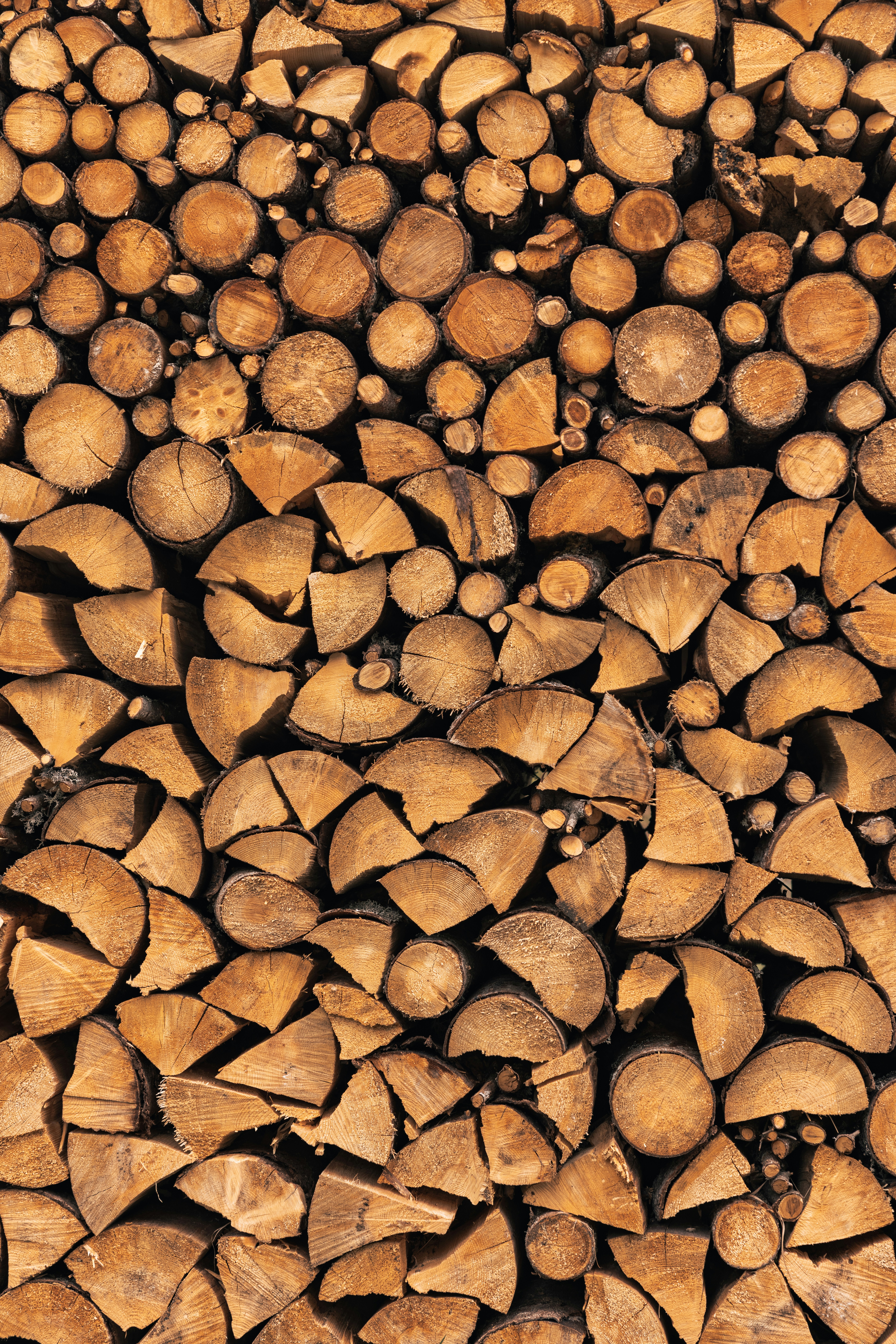 Concentric Echoes: Close-Up of Stacked Firewood Ends