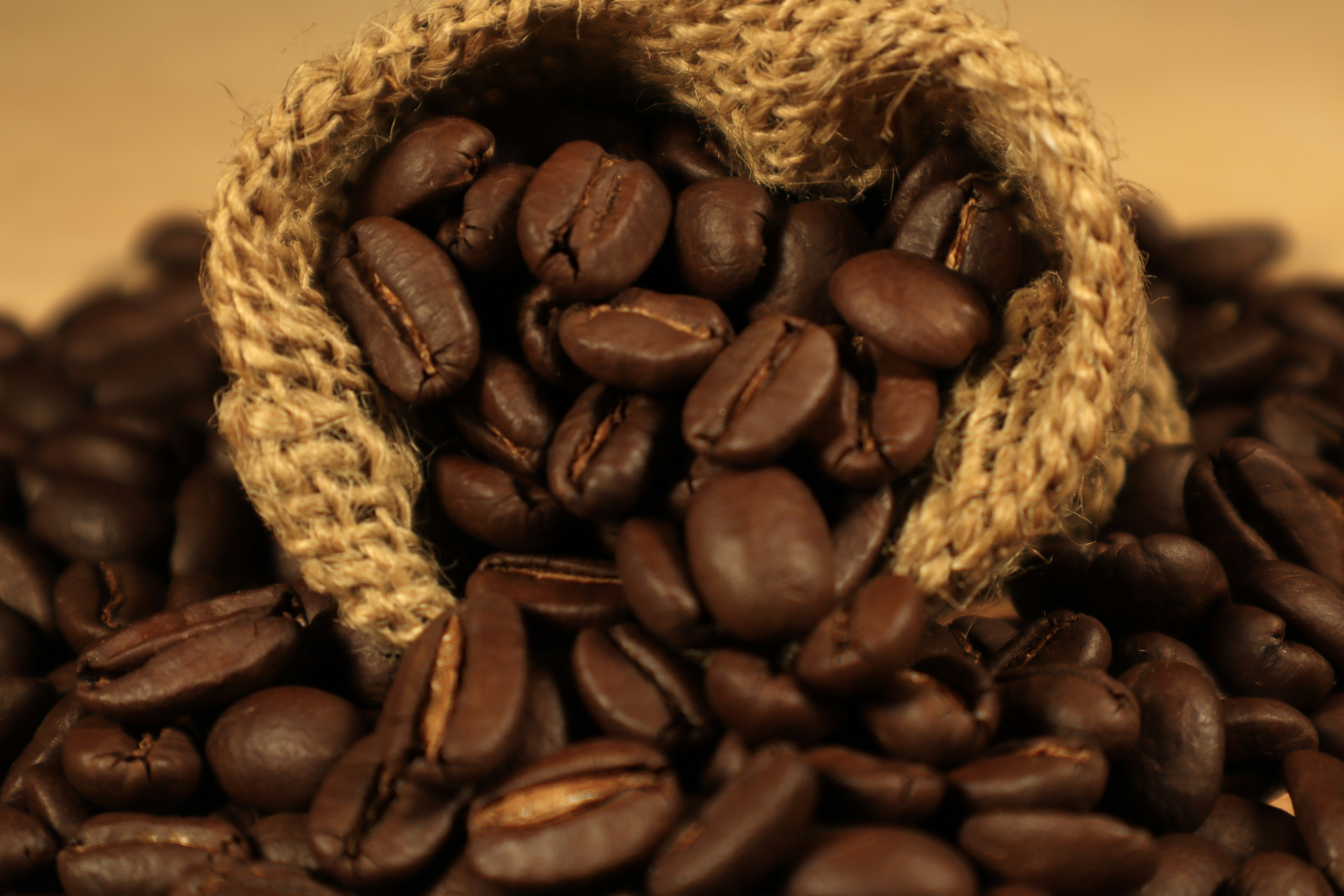 Burlap Chest of Roasted Coffee: A Macro Portrait of Dark Beans