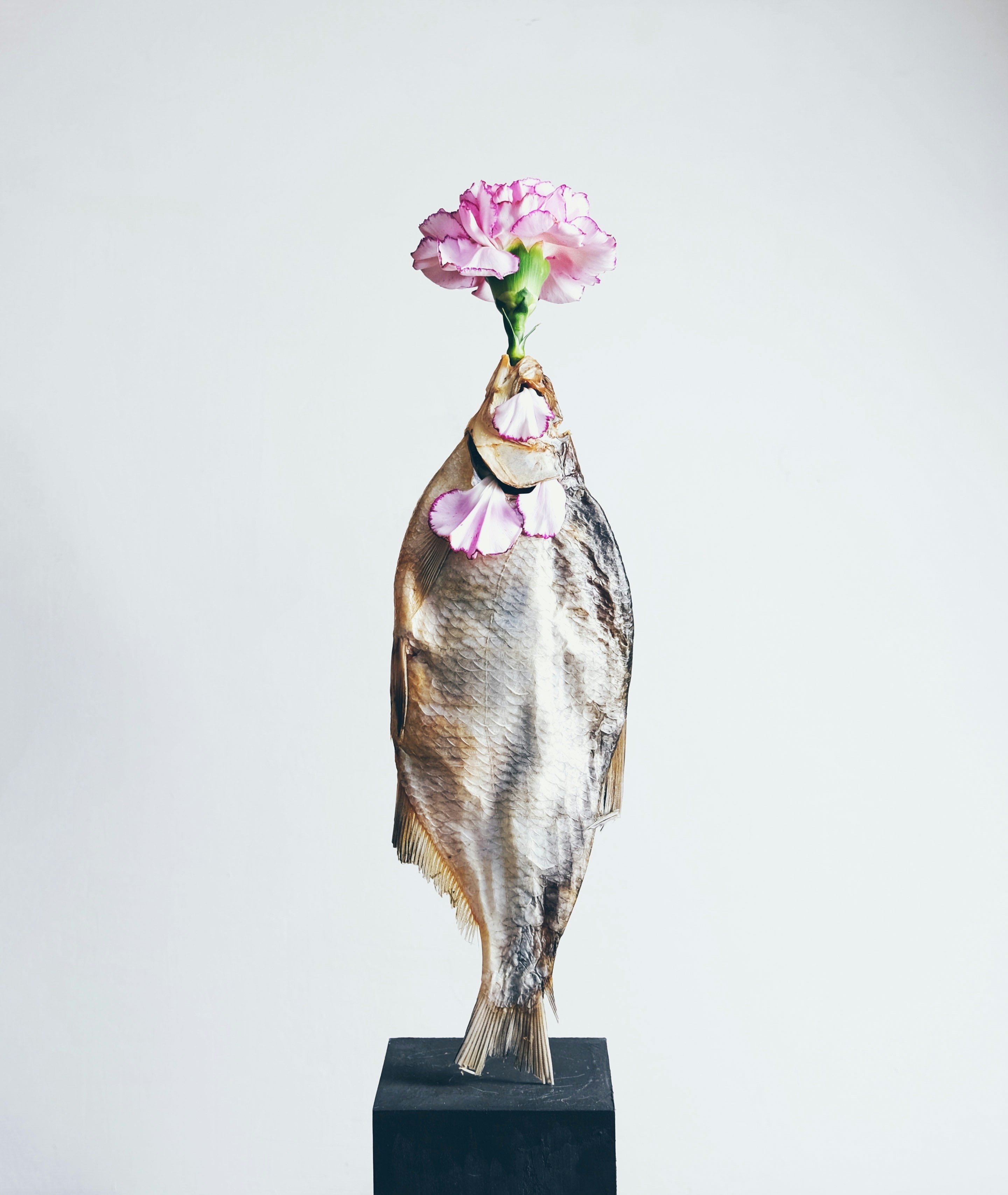 A sculpture of a bird with a flower in its beak photo – Free Flower ...