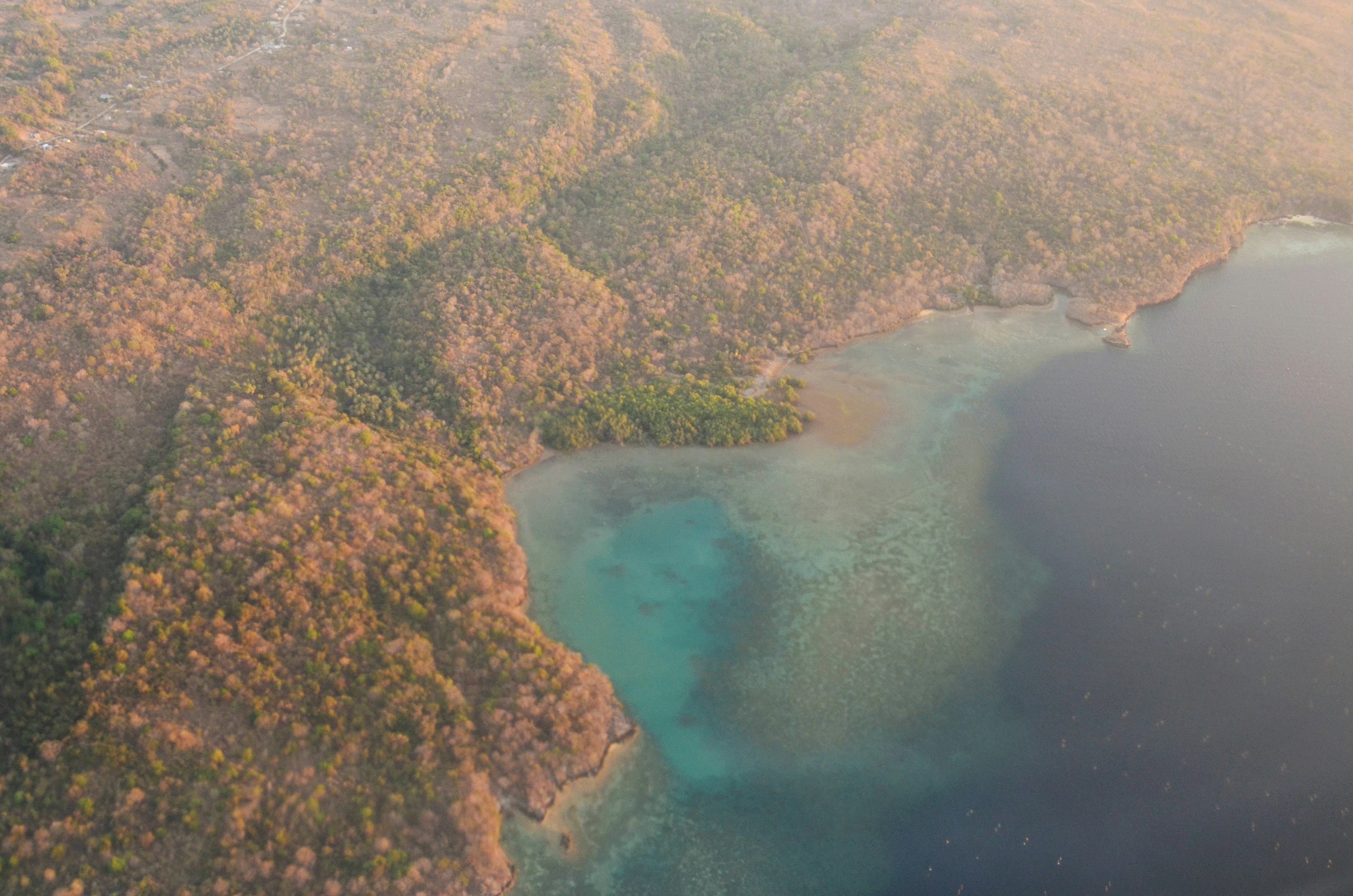 Autumn Coastline: Teal Inlets Along the Forest Edge