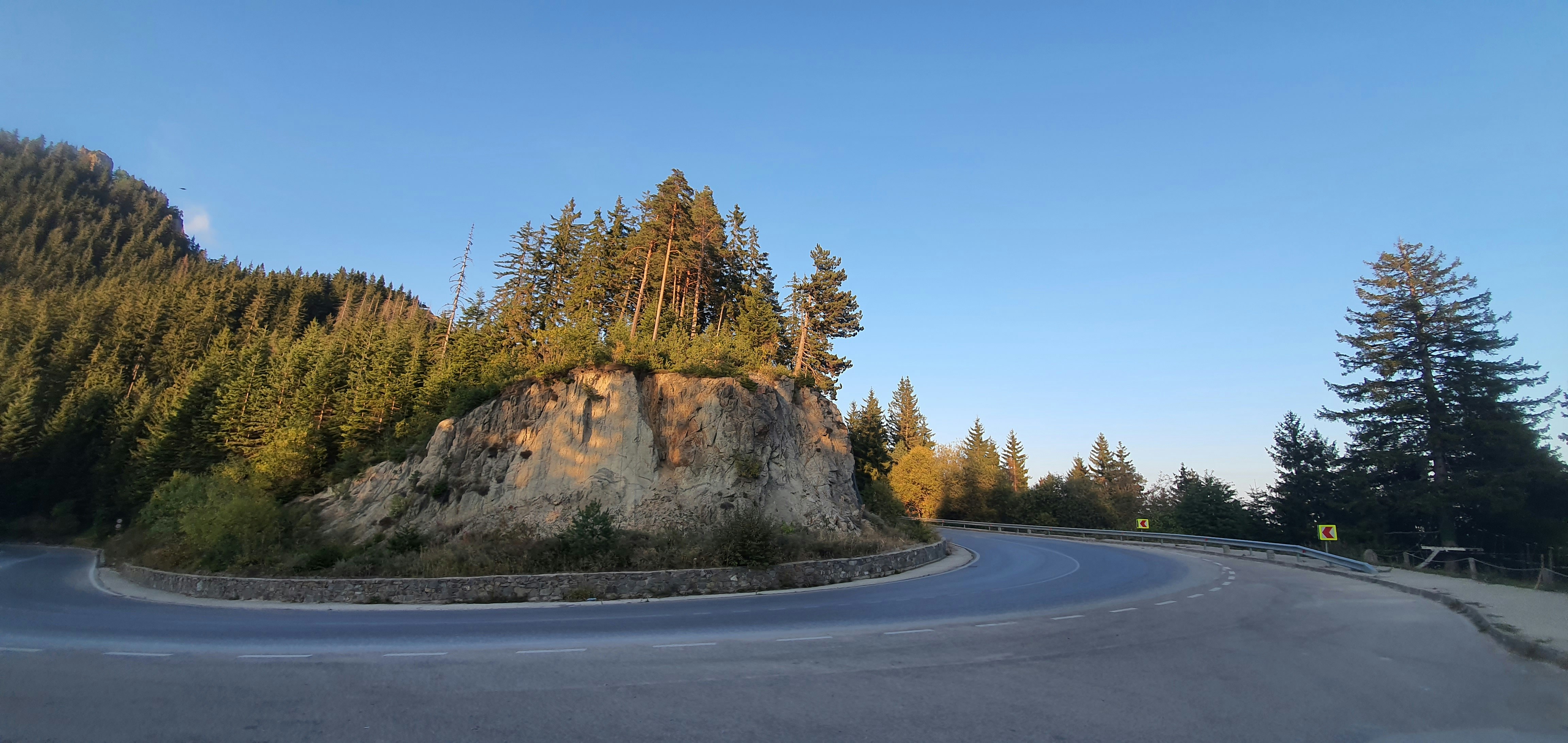 Dawn Bend: Pine-Gilded Cliff Guarding the Winding Road