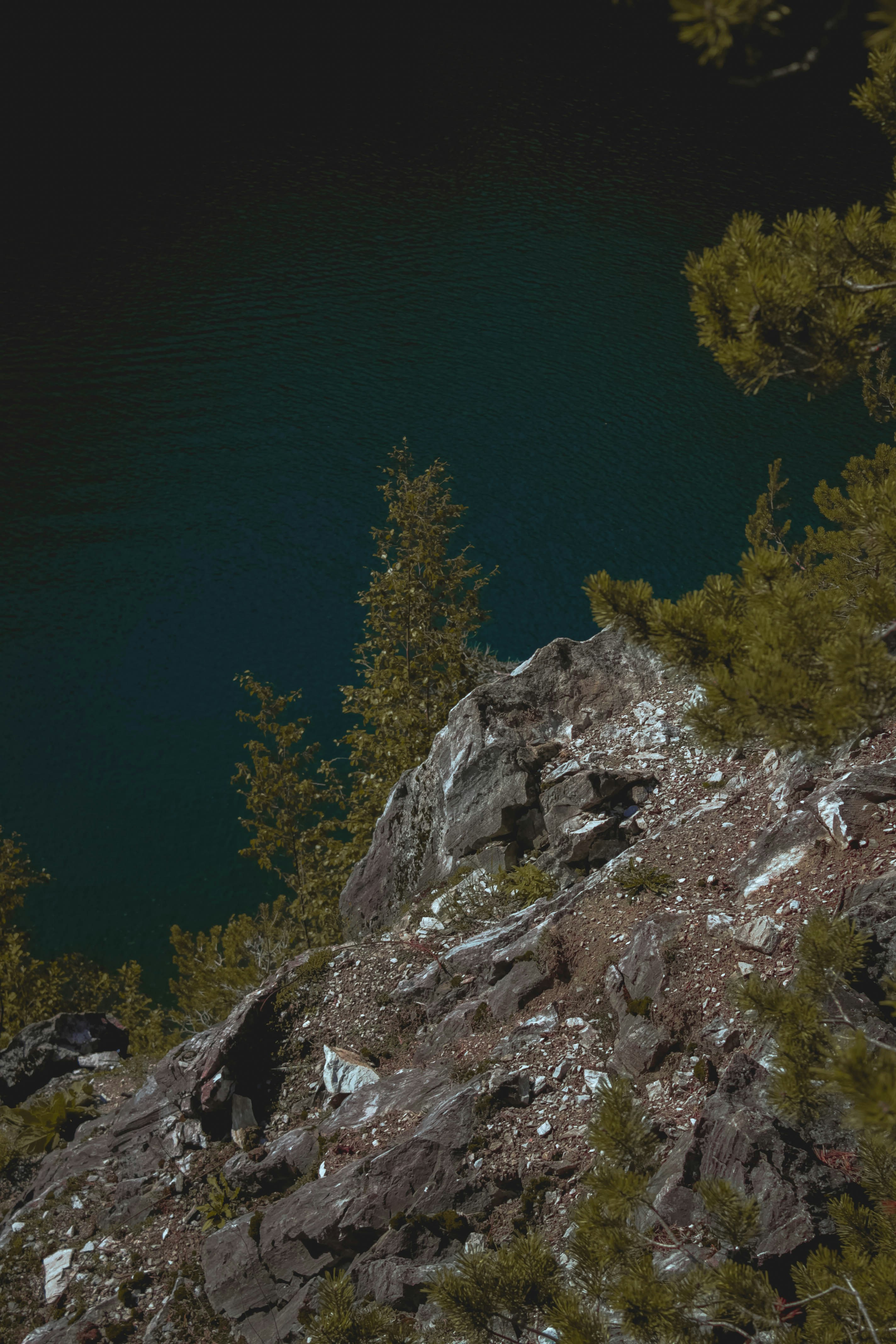 Teal Lake Quietly Emerges from a Pine-Fringed Cliff