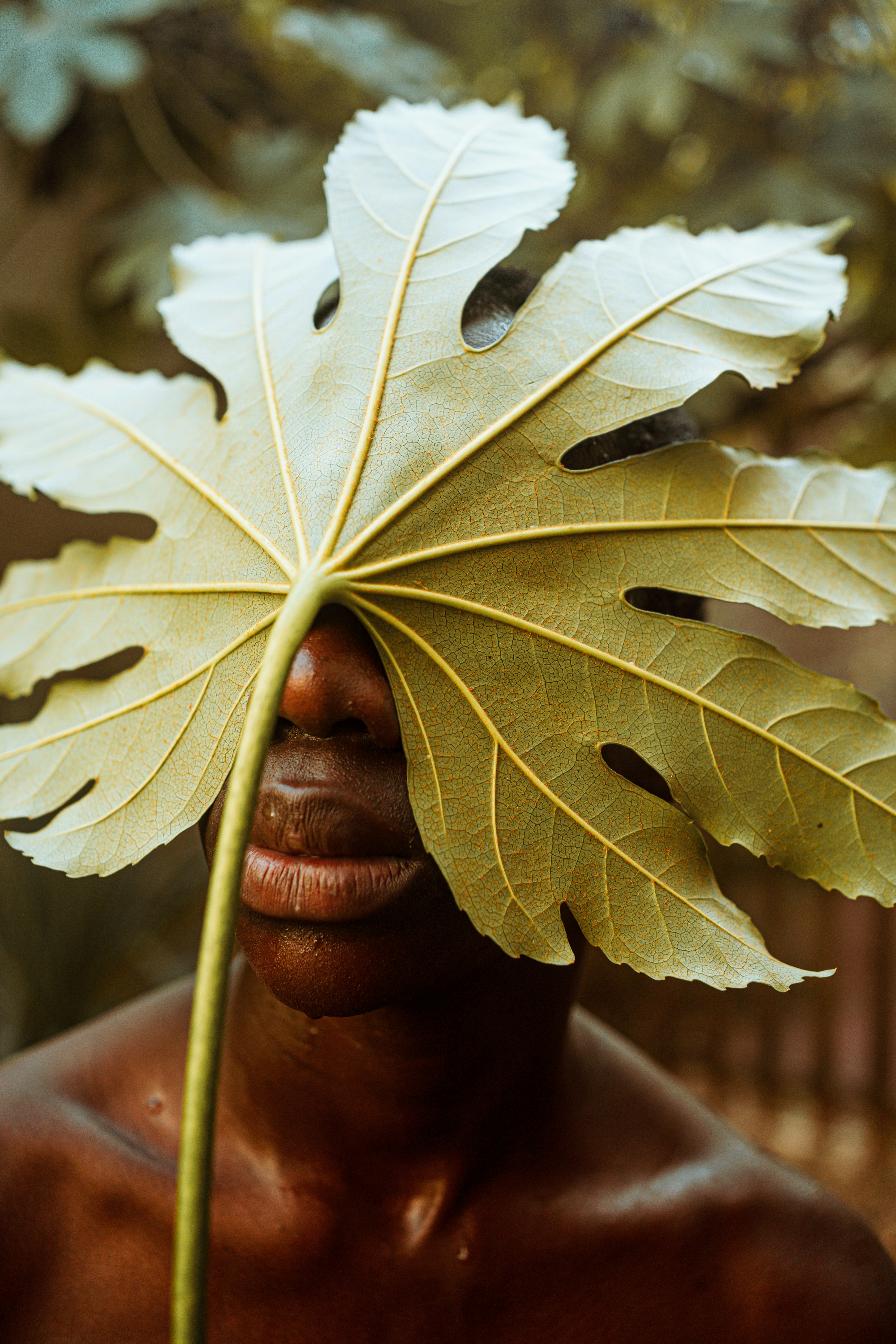 Leaf Veil: A Portrait Hidden by Nature