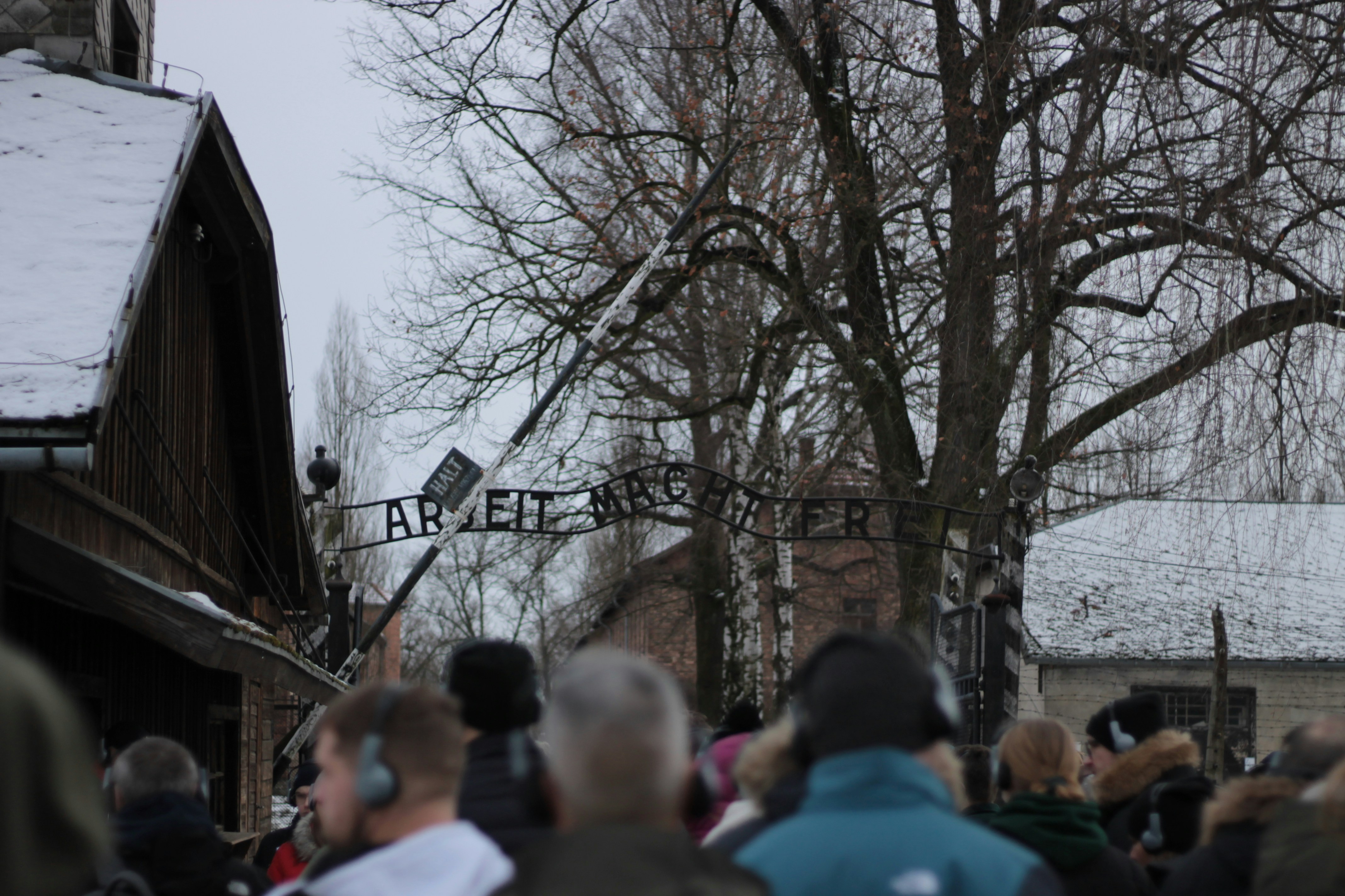 The Arch of Silence Over the Winter Market