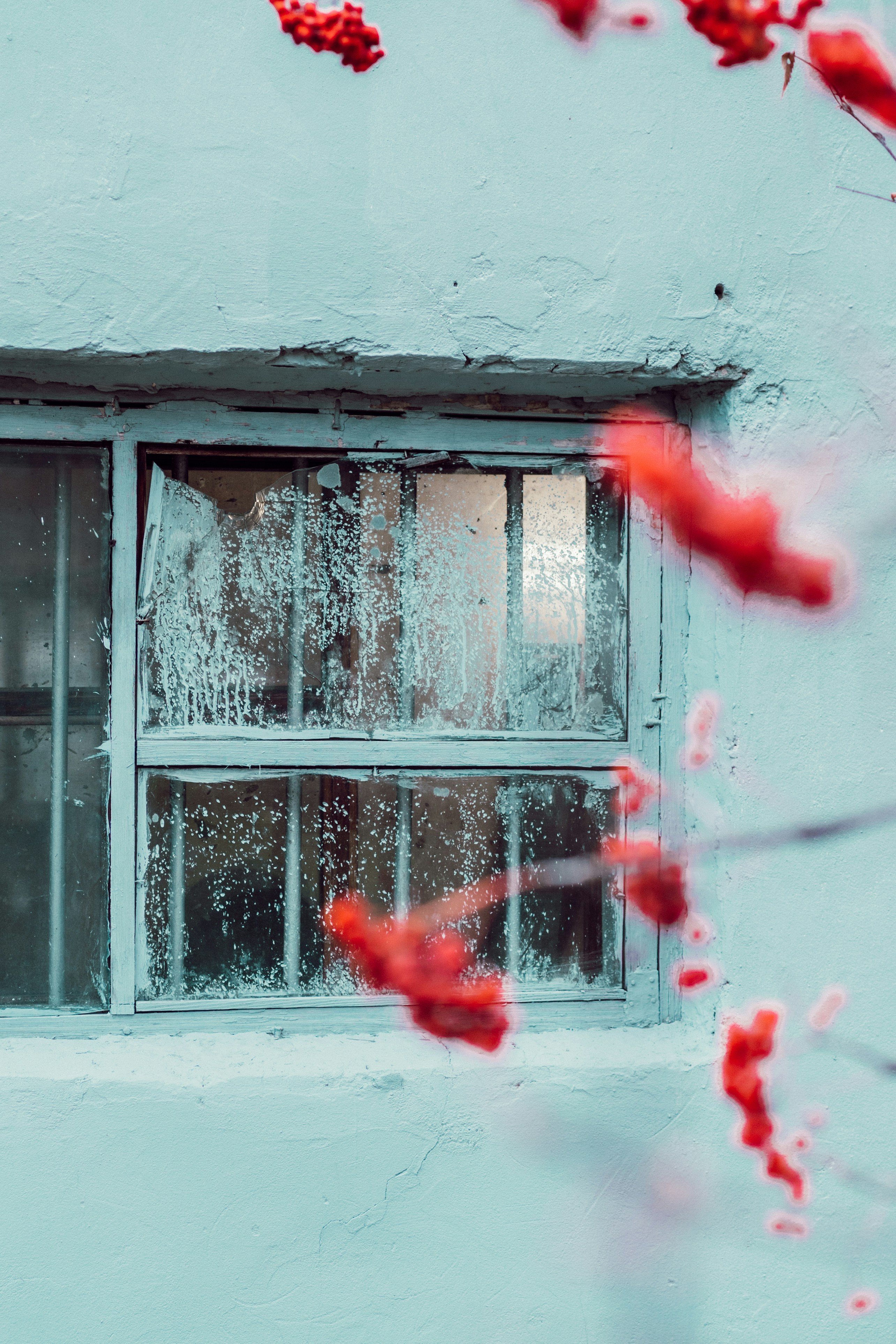Crimson Blur Framing a Frosted Window on a Turquoise Wall