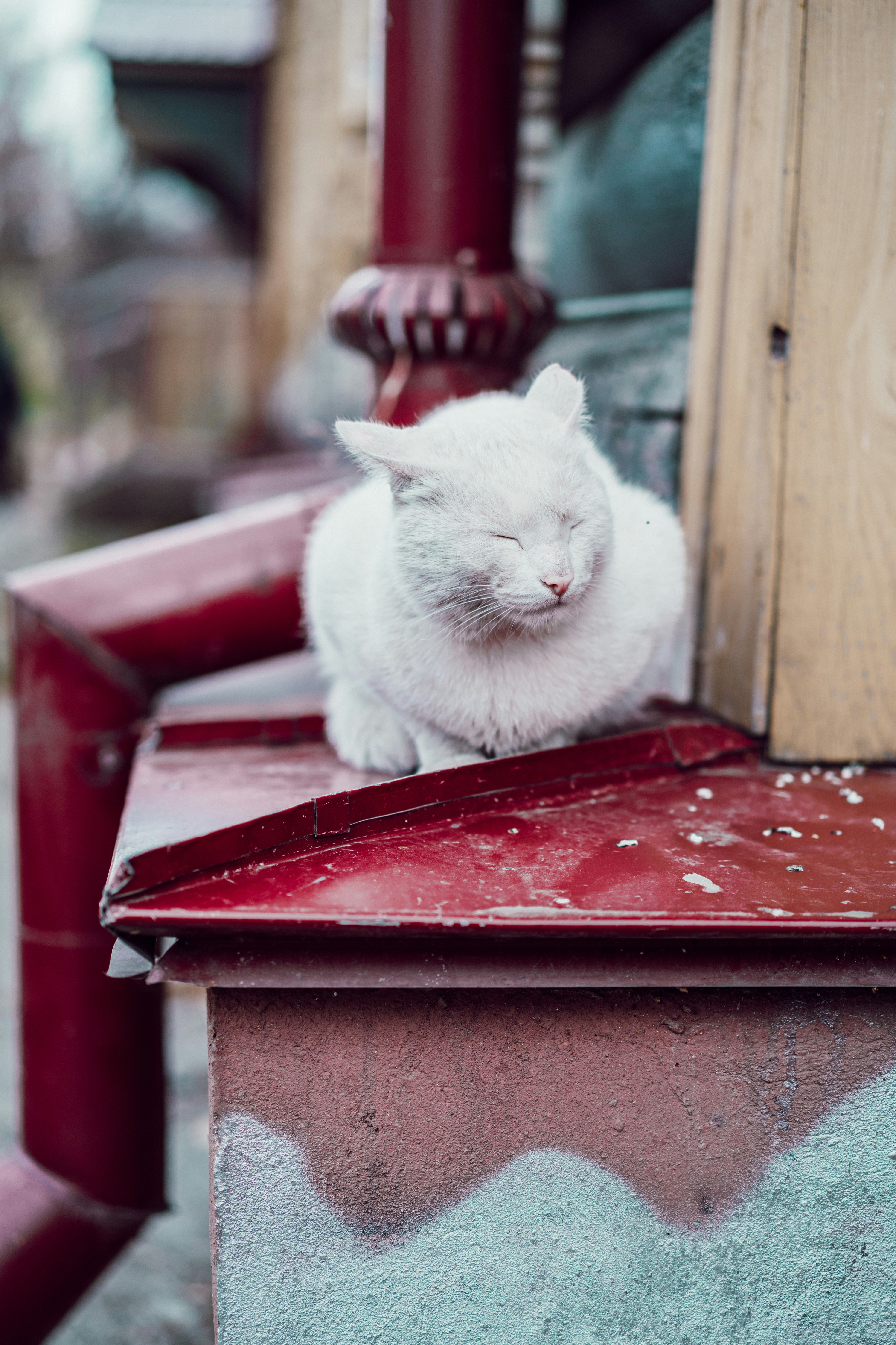 Photo by Andrey K with Sony Alpha 7 III