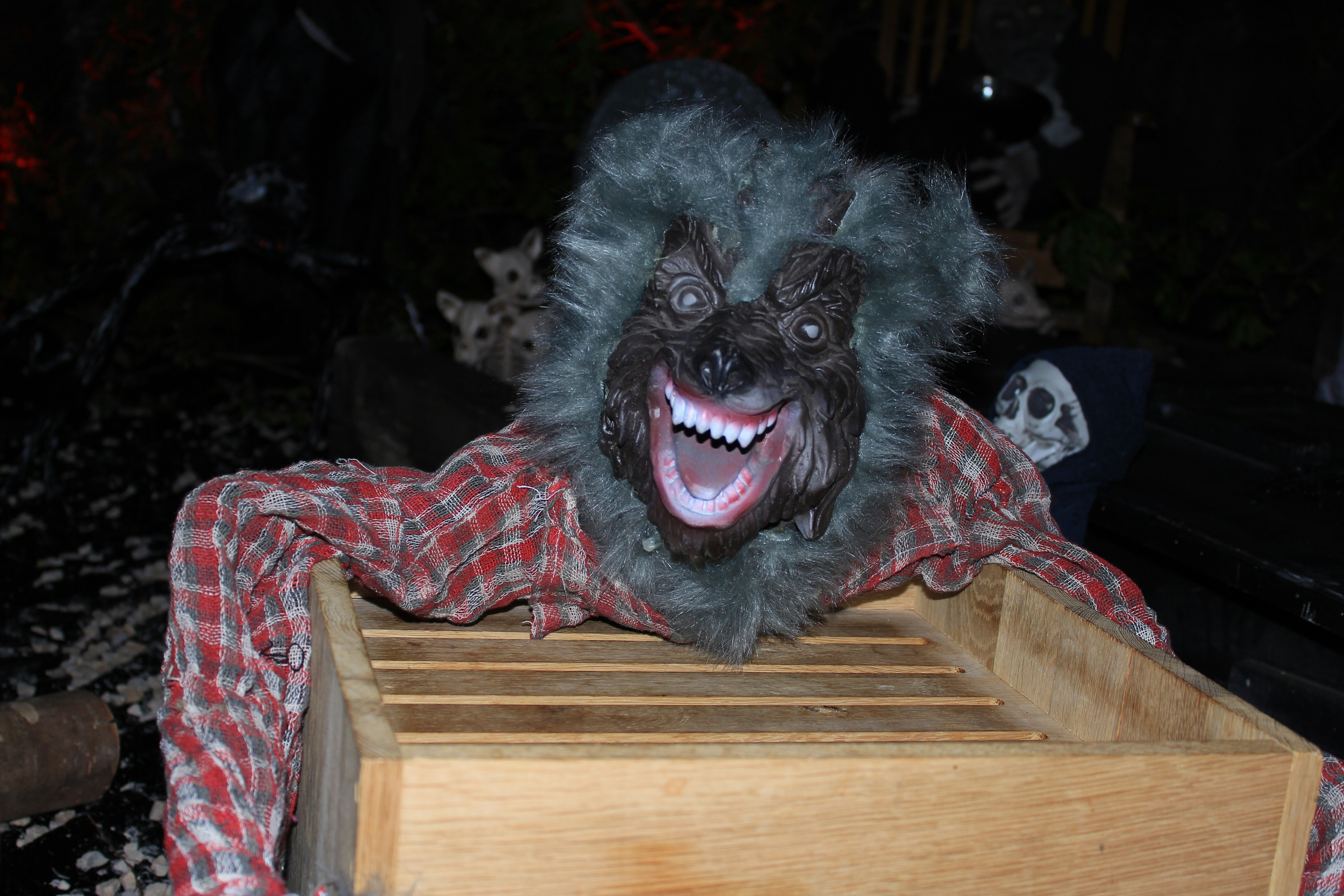 Grinning Werewolf Emerges from a Crate in a Shadowy Halloween Scene