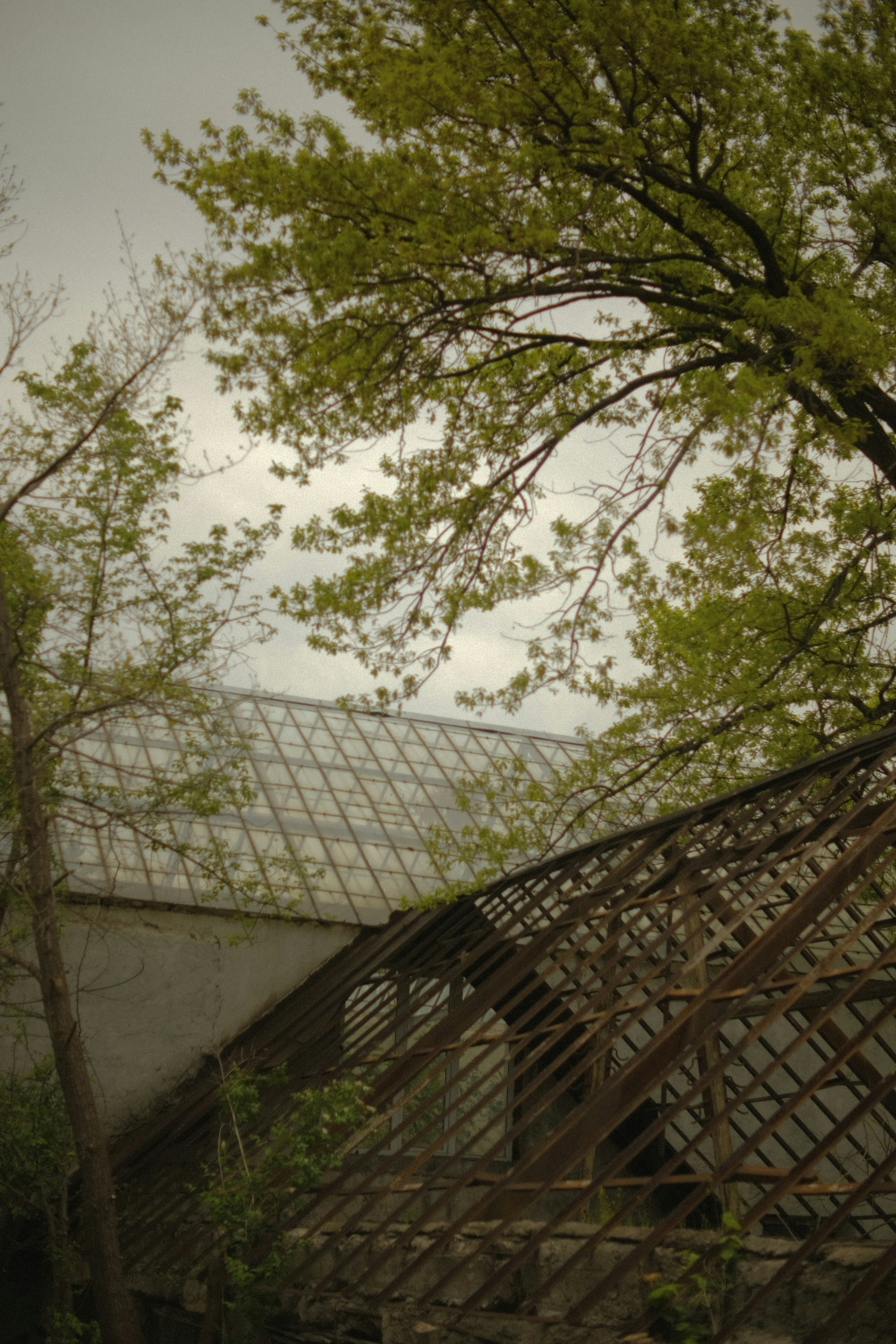 Diagonal Glass Facade Meets Spring Canopy
