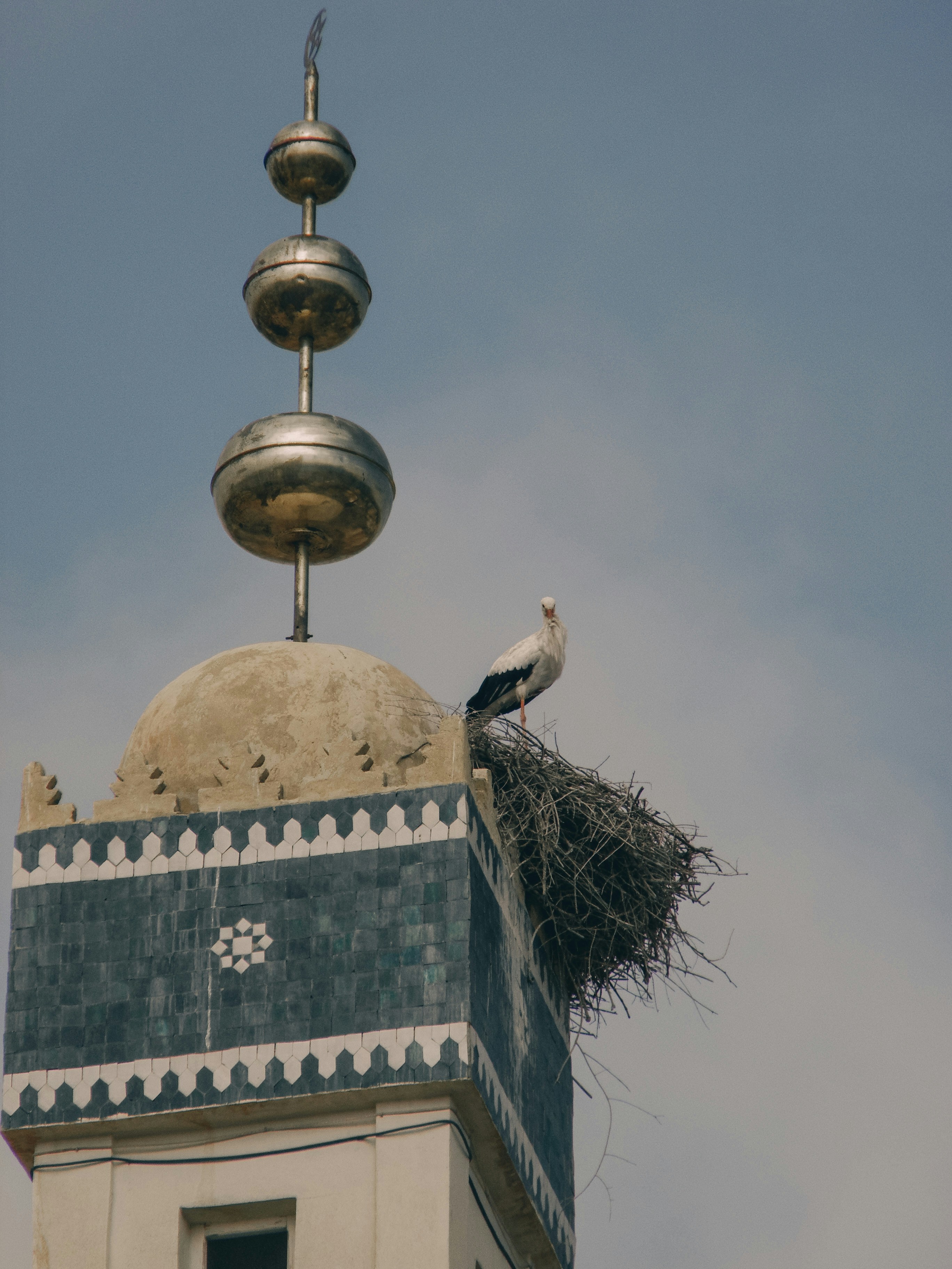 A stork perches beside its nest on the tiled crown of a minaret, set against a pale blue sky. The image emphasizes the contrast between architectural detail and natural life.