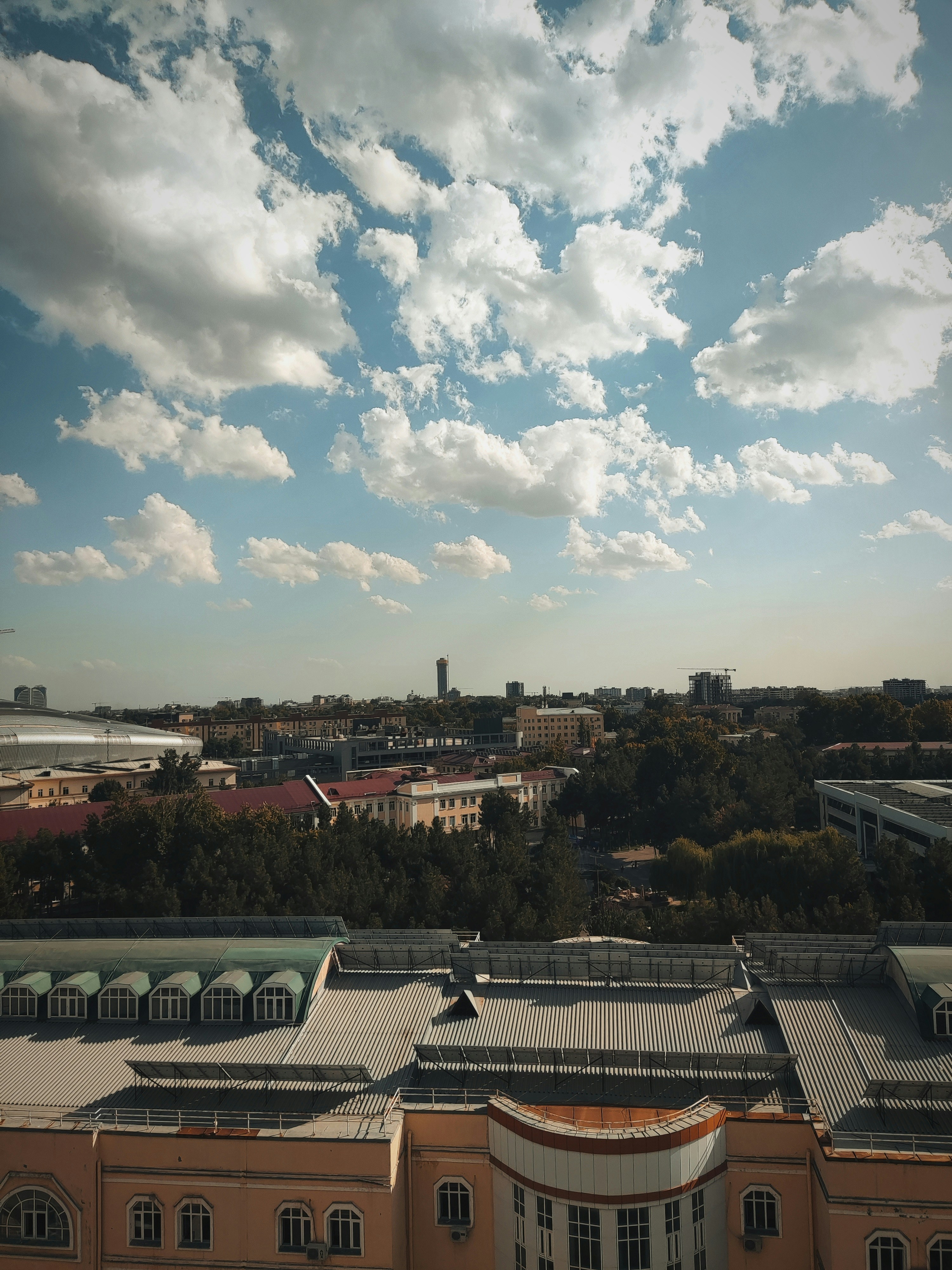 Rooftops and mid-rise buildings stretch across the foreground with a distant skyline beneath a bright sky full of fluffy clouds.