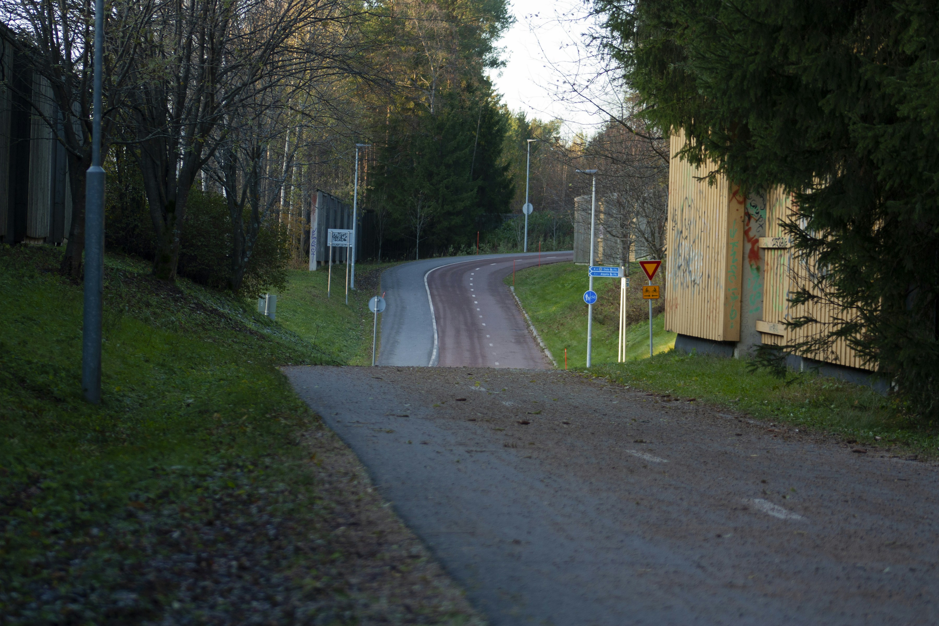 Une route étroite au milieu d’une zone boisée photo – Photo Chemin ...