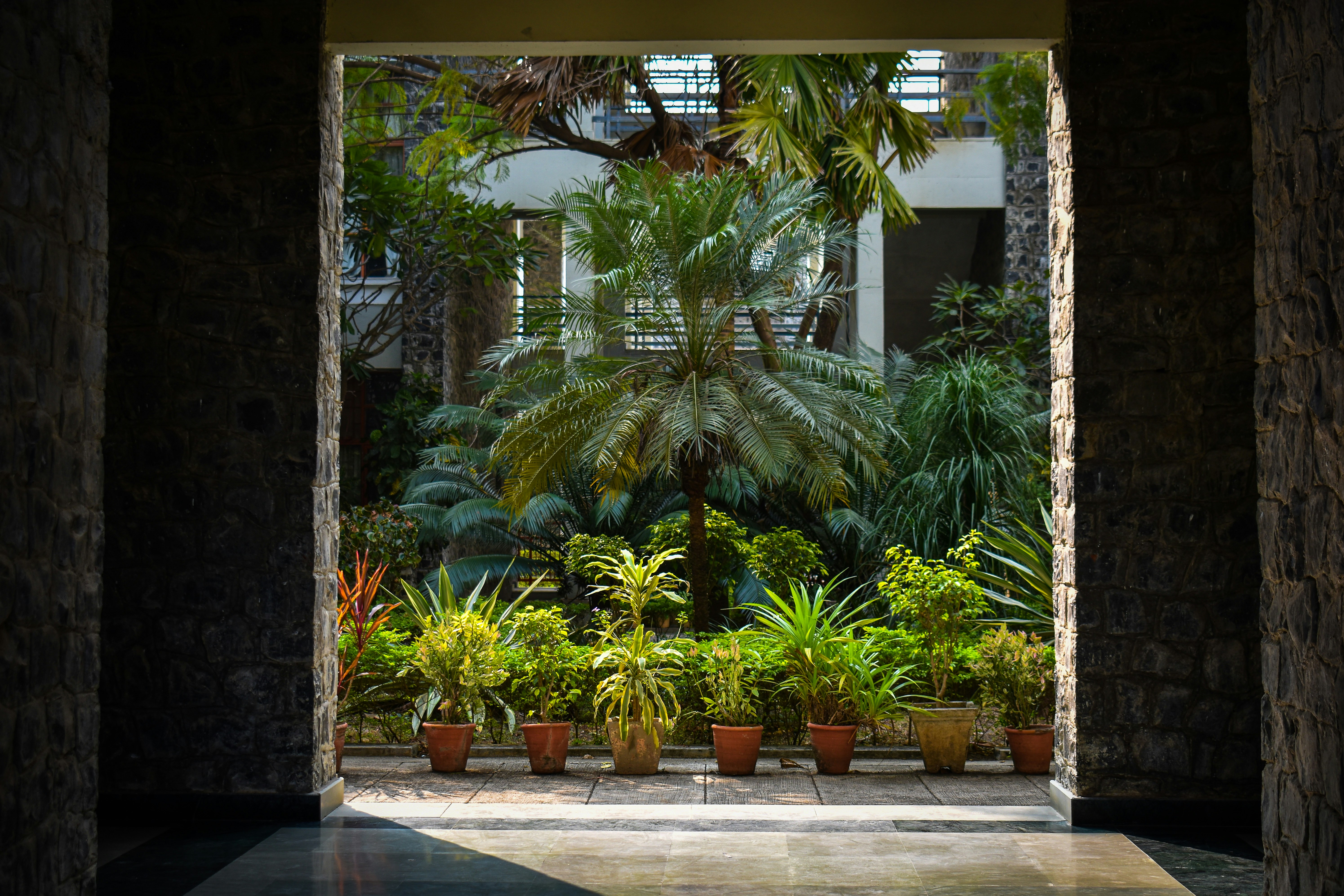 a view of a tropical garden through an open door