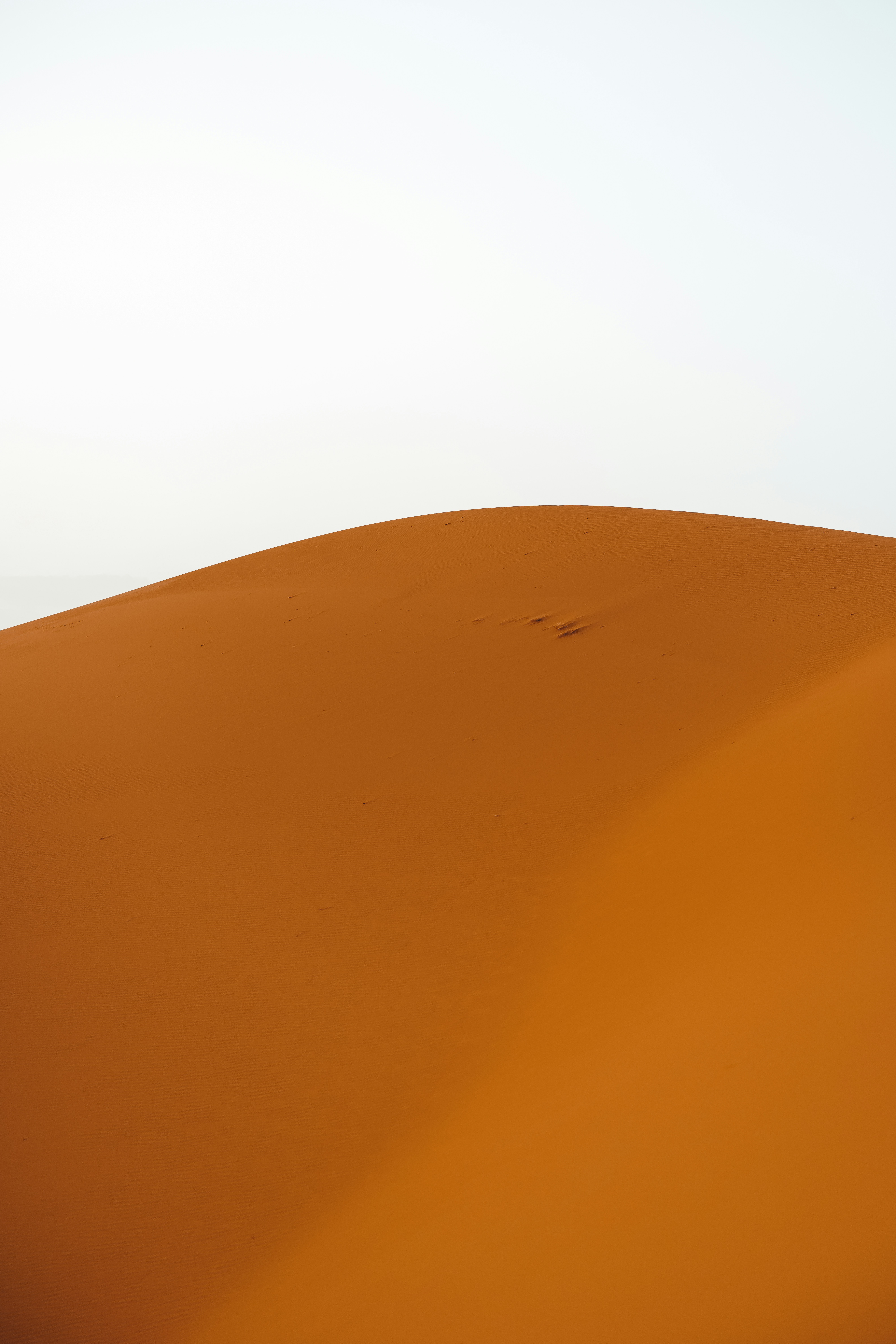 Ember Crest: A Quiet Wave of Desert Light