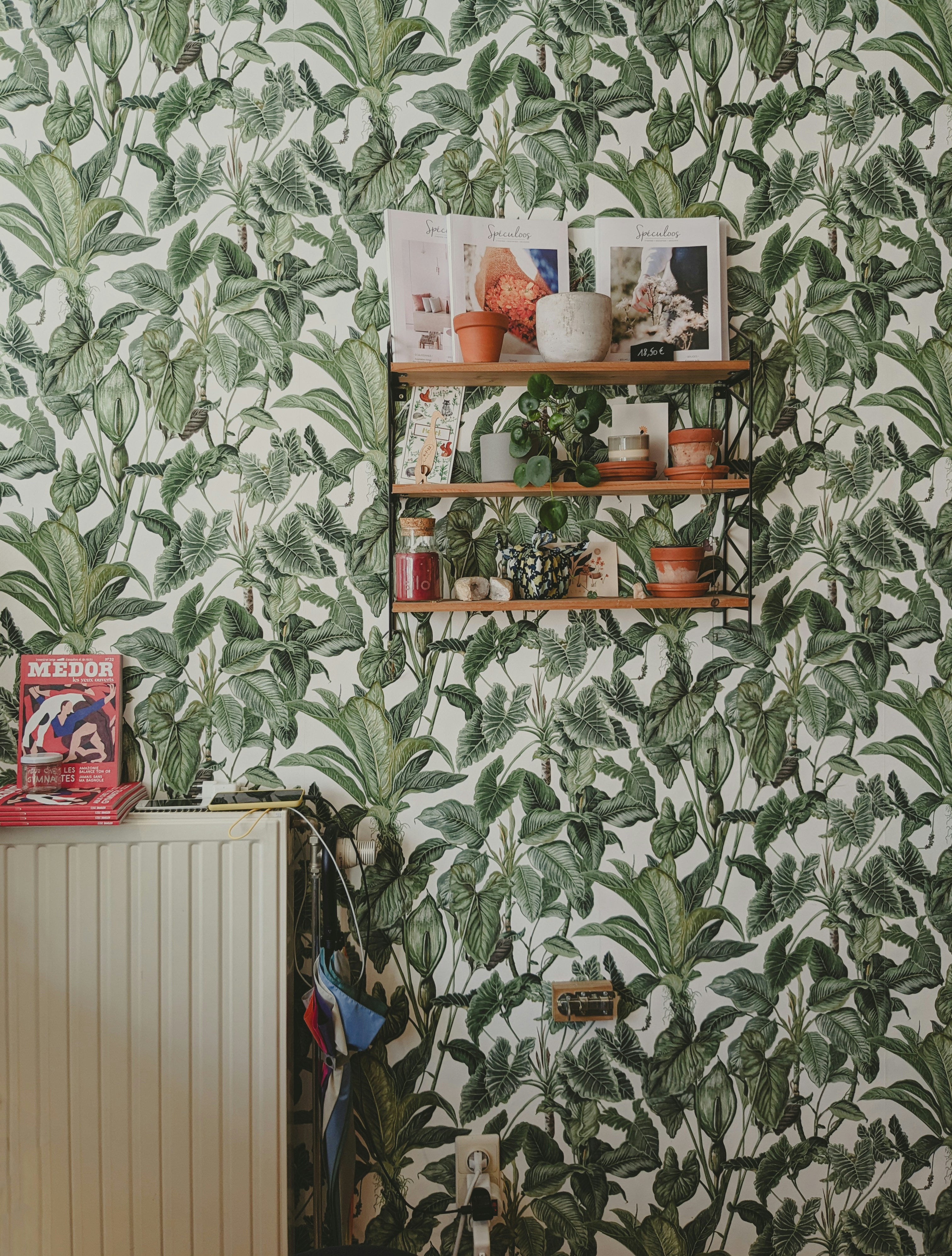 Verdant Shelfscape: Pots, Plants, and Palm-Leaf Wallpaper
