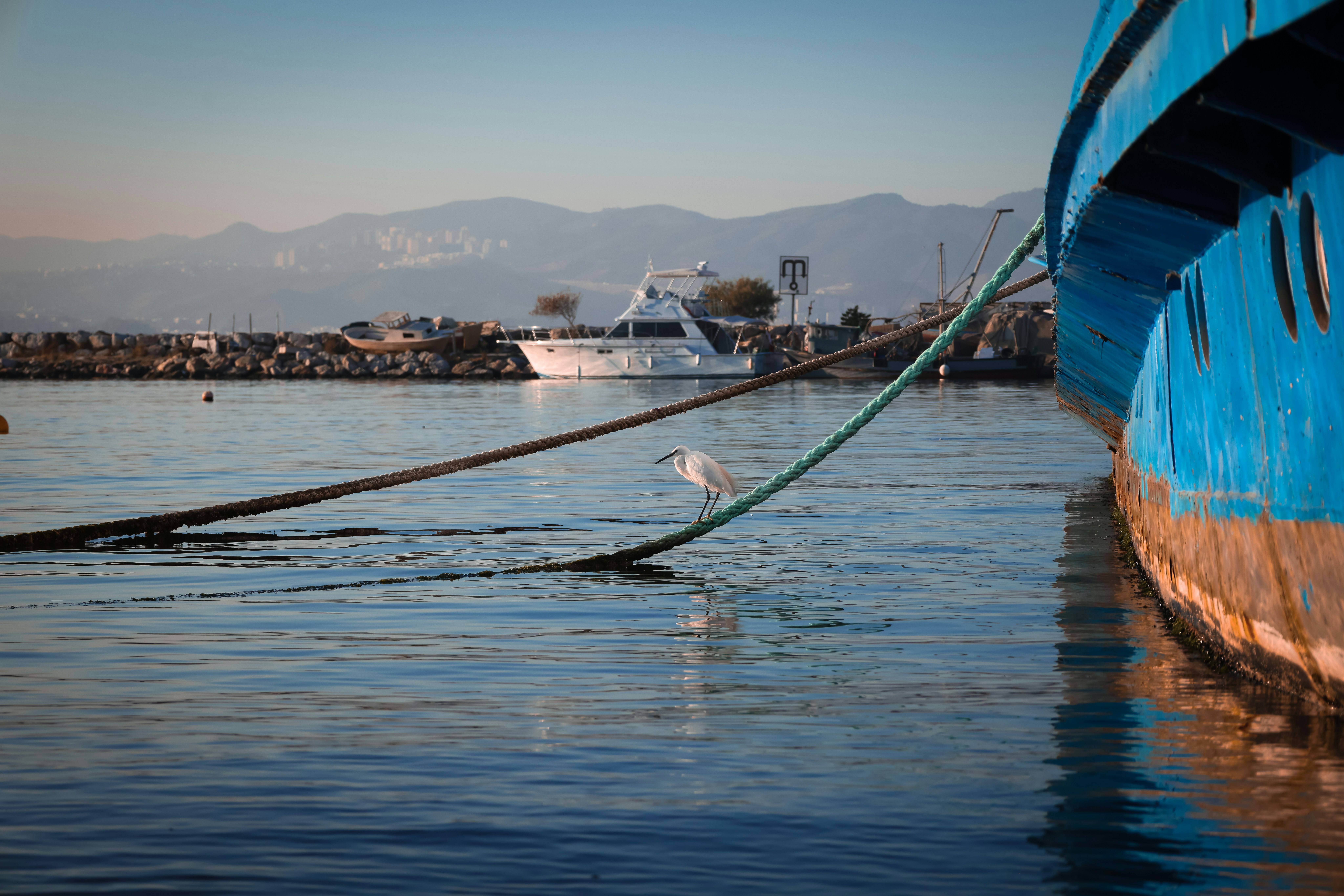 Seagull on a Tether: Quiet Harbor, Blue Hull, Distant Peaks
