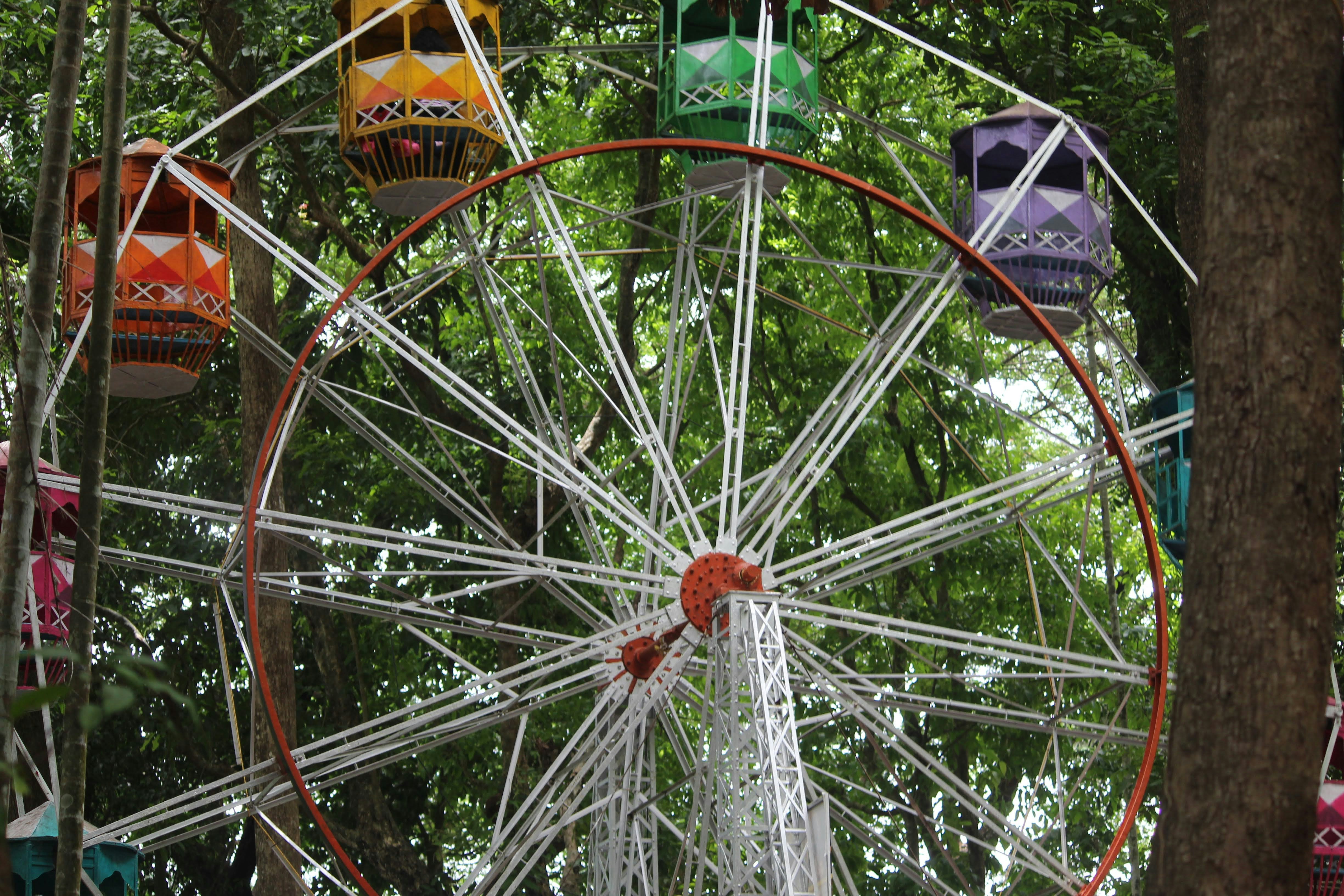 a rustic flywheel stands as a silent sentinel of a bygone era. Covered in moss and surrounded by ancient trees, this weathered mechanical wonder serves as a reminder of human industry's humble place within the wild, untamed beauty of the woods. Its well-worn gears and rusted spokes tell a tale of history blending with nature, creating a captivating juxtaposition in this serene woodland setting.