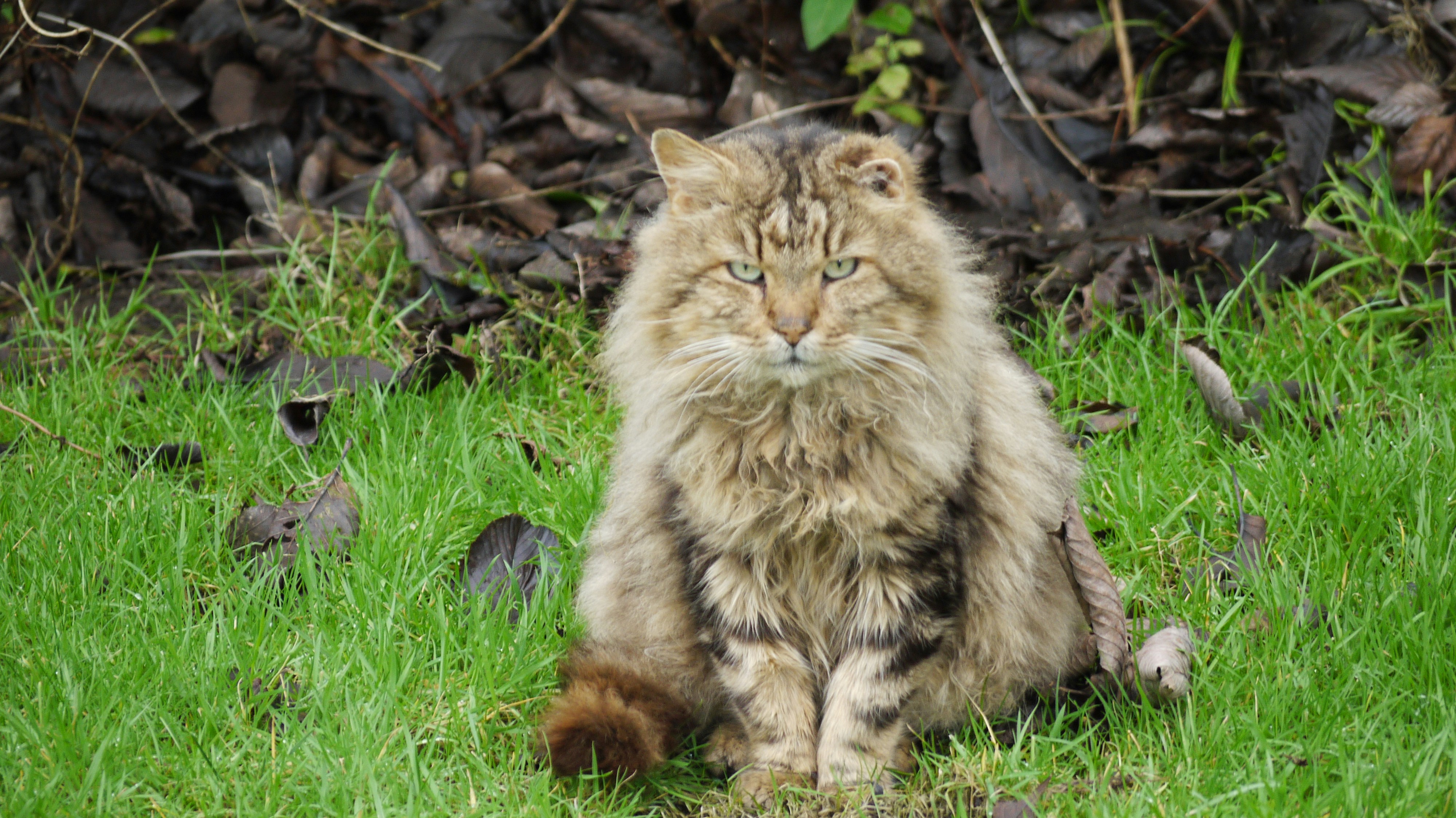 Sample photo from Panasonic Lumix G10