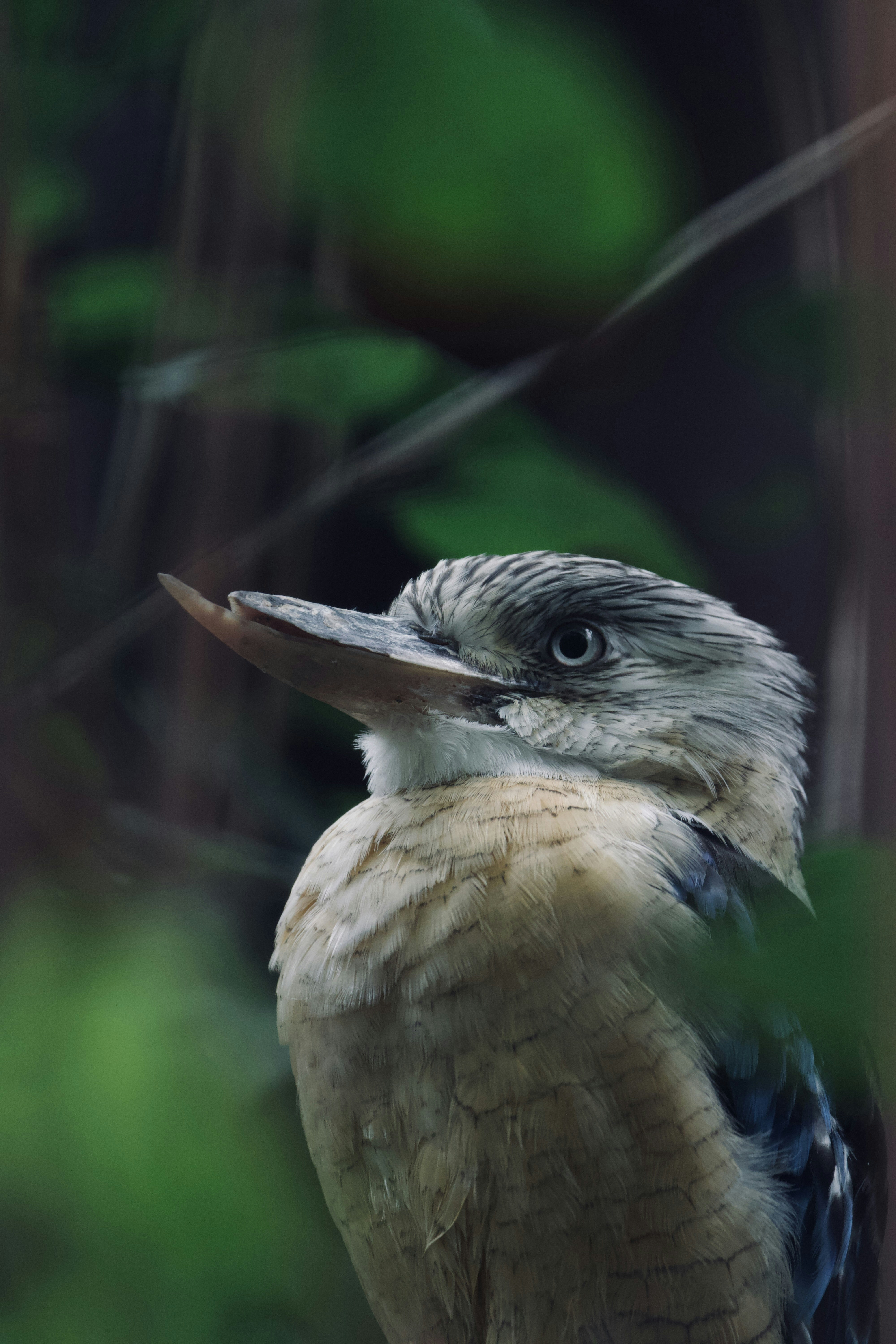 Photo by Jakub Neskora with Canon EOS 250D