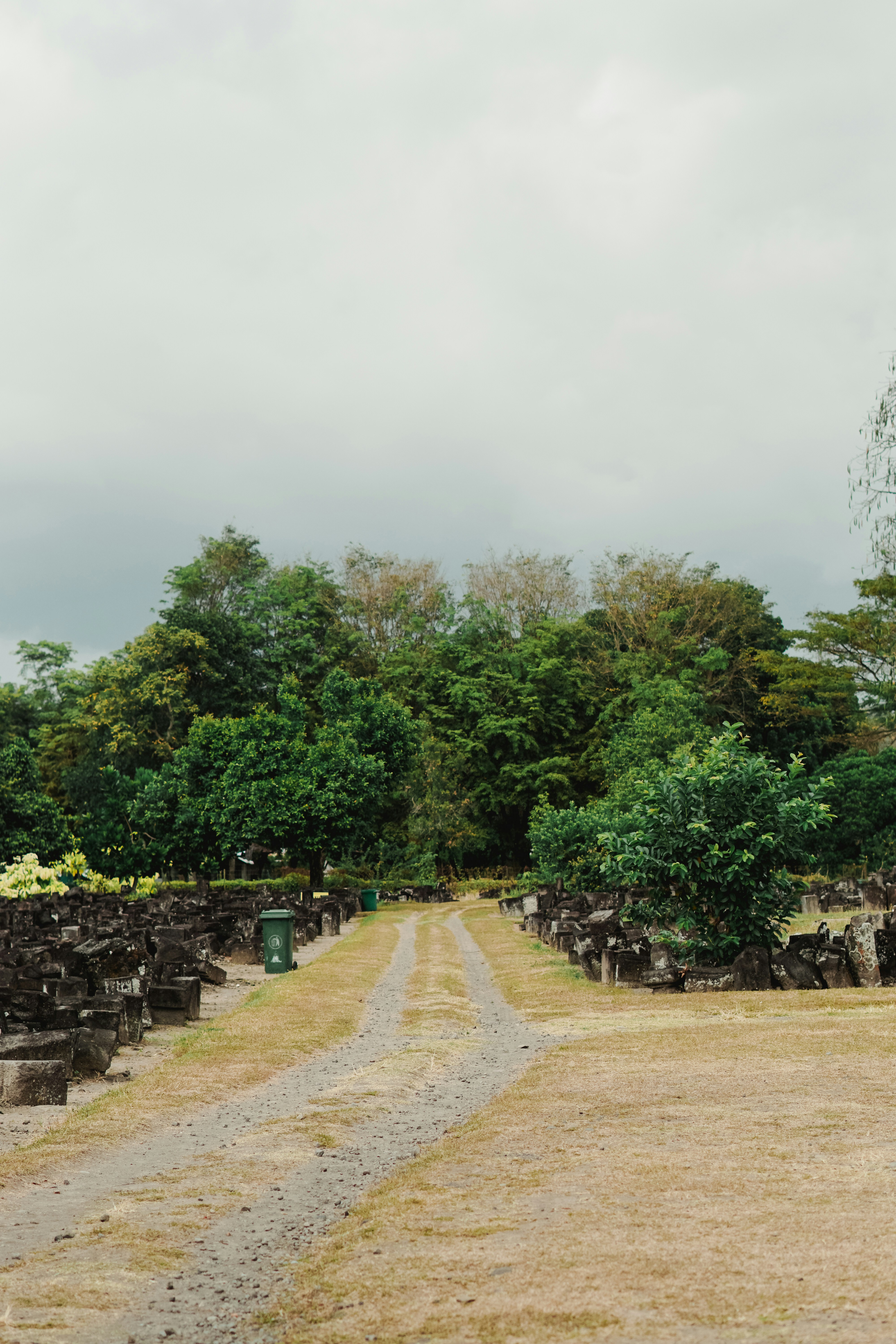 Between Graves and Greenwood: A Quiet Cemetery Path Under Cloudy Light