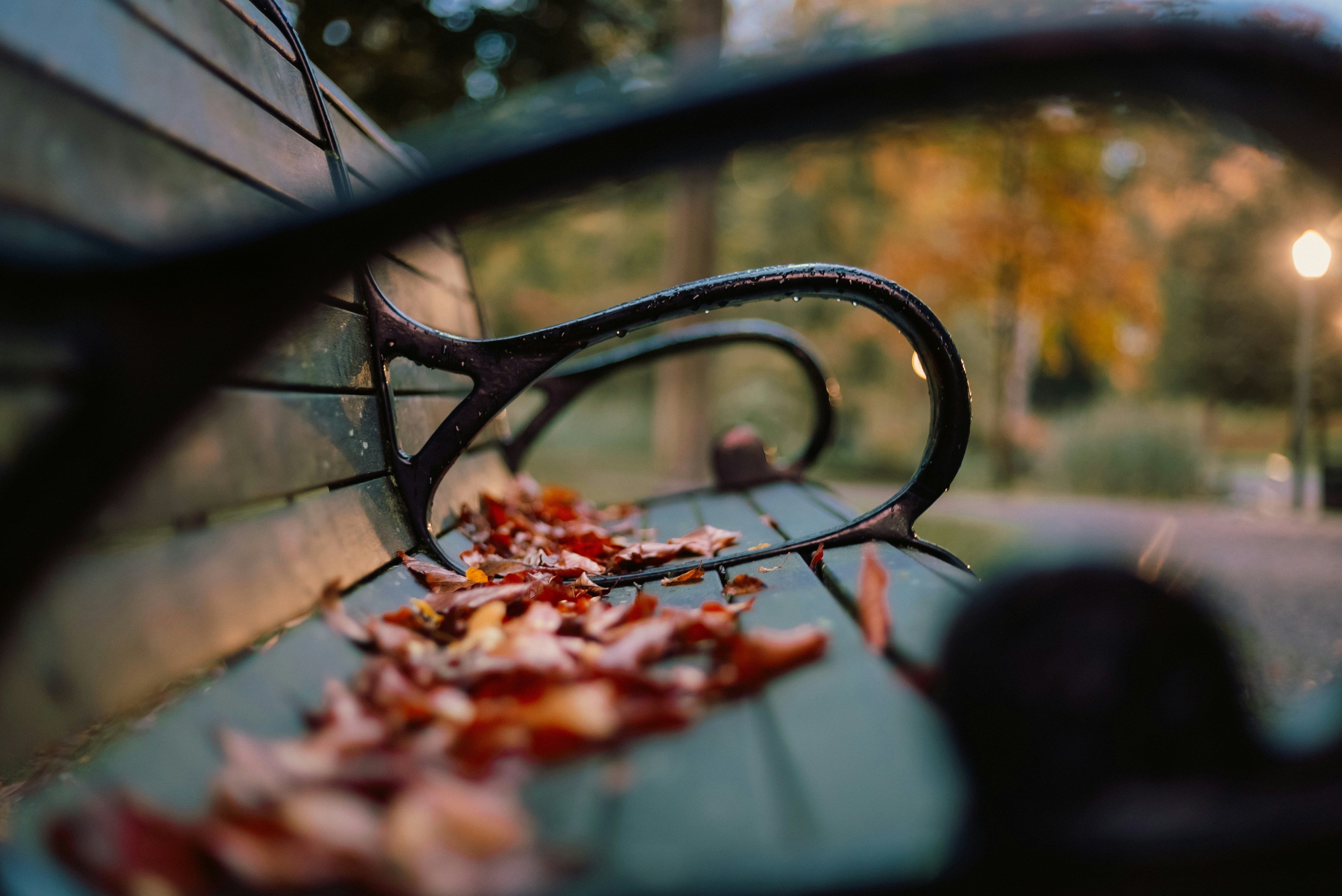 Autumn Leaves on a Curved Park Bench