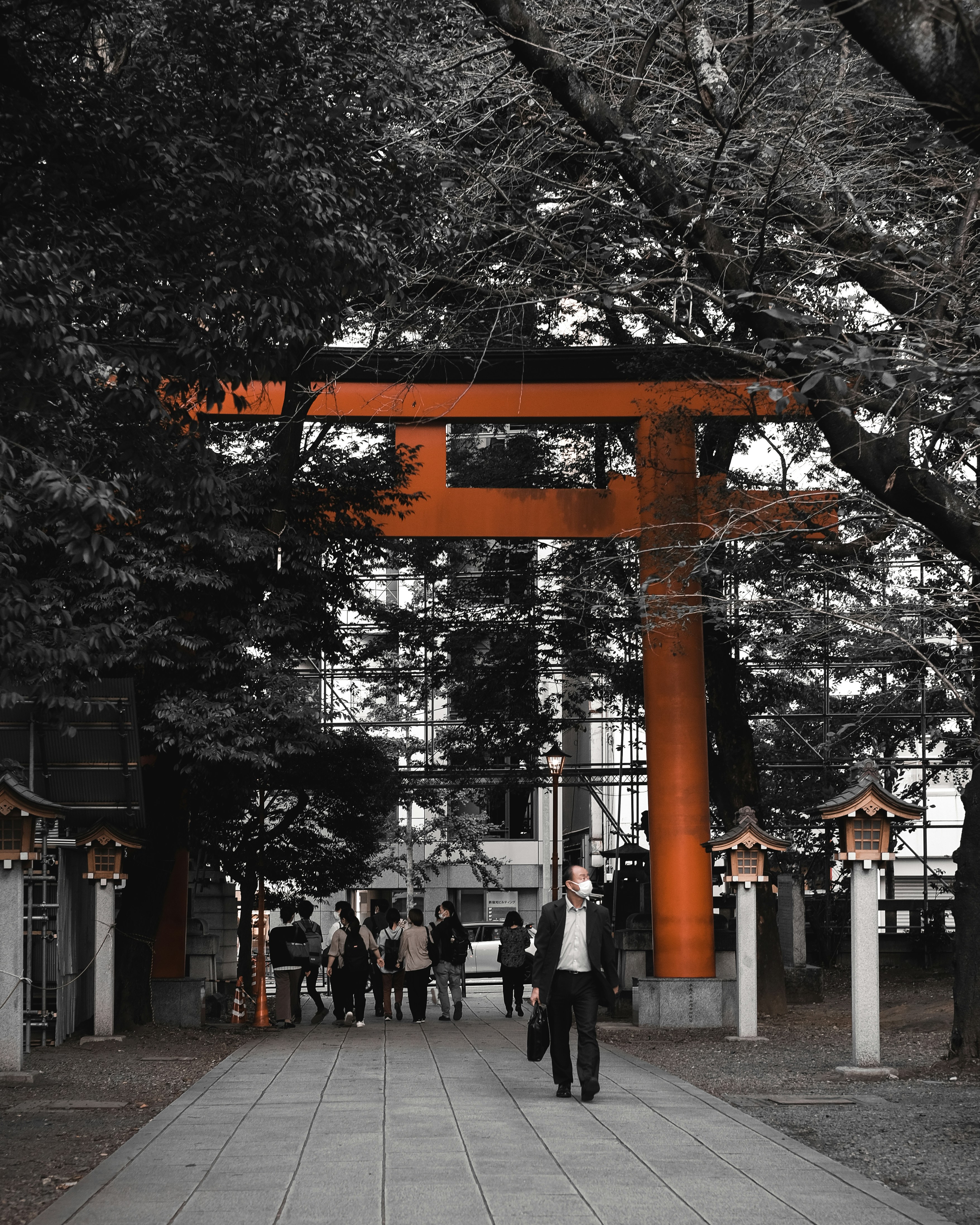 Crimson Torii Framing a Quiet Shrine Approach