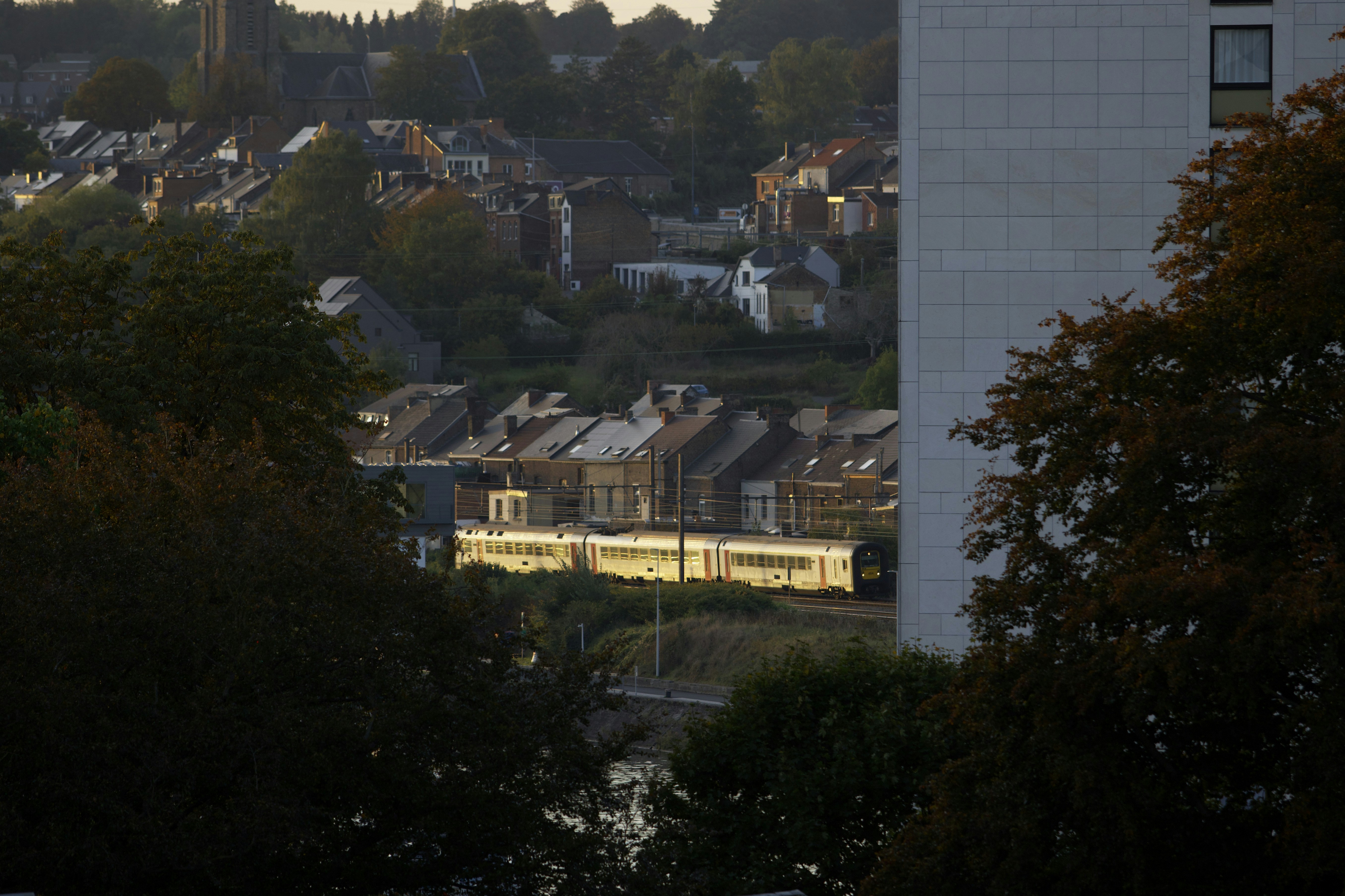 Train illuminated by evening sunlight amidst shadowed urban buildings and trees.