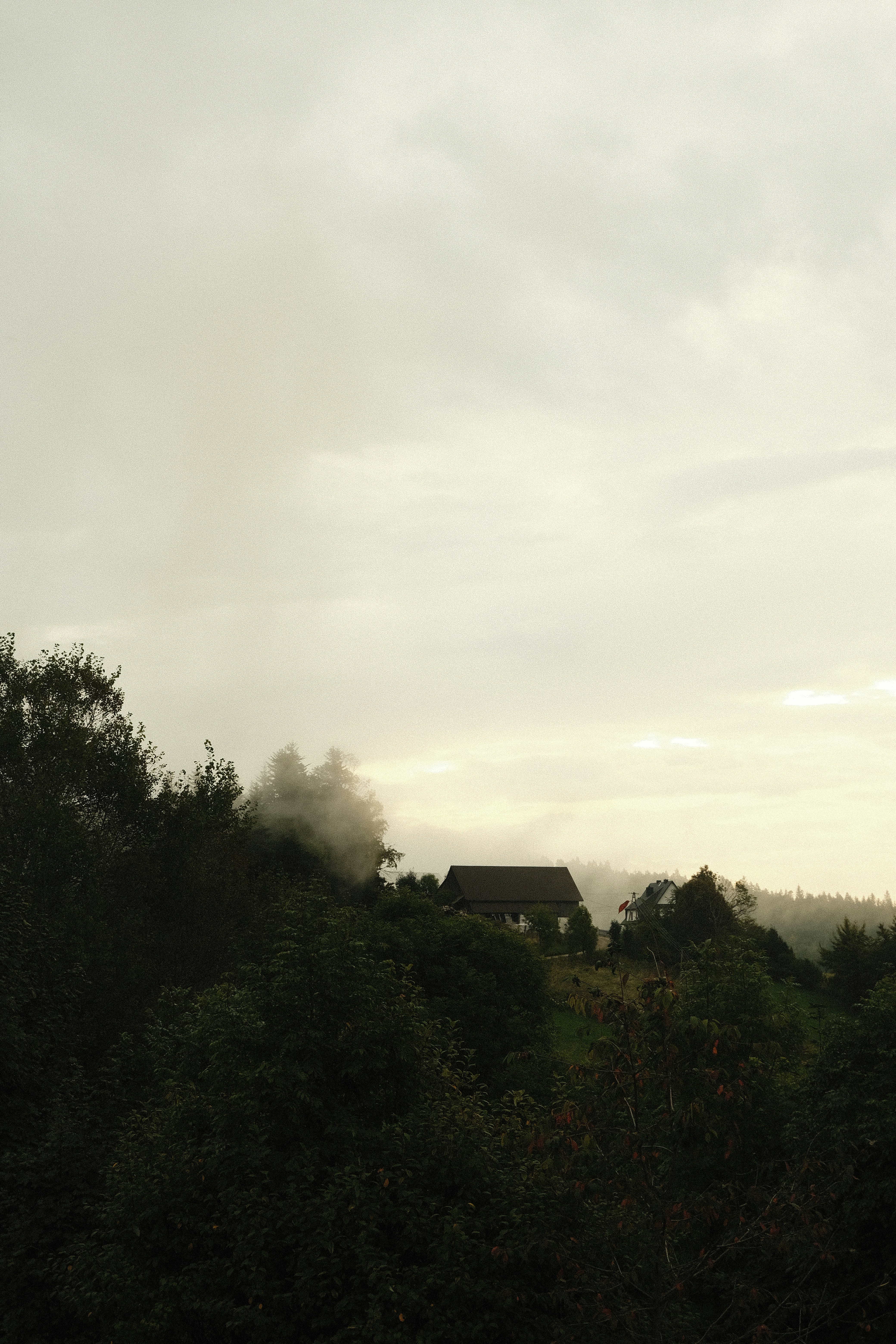 Smoke Over the Hill: A Dusk-Hued Homestead