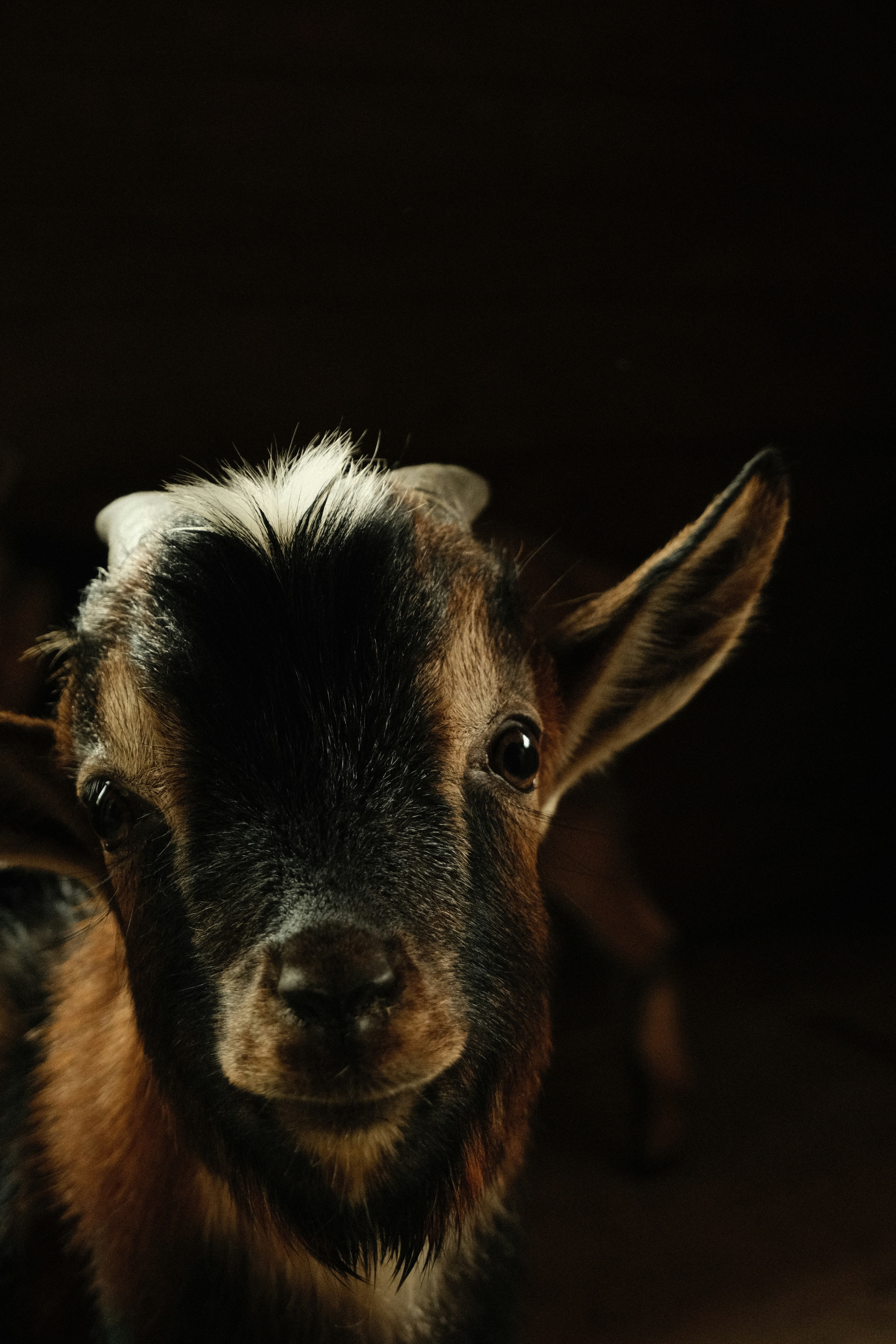 Photo by Vlad Patana with Fujifilm X-T30