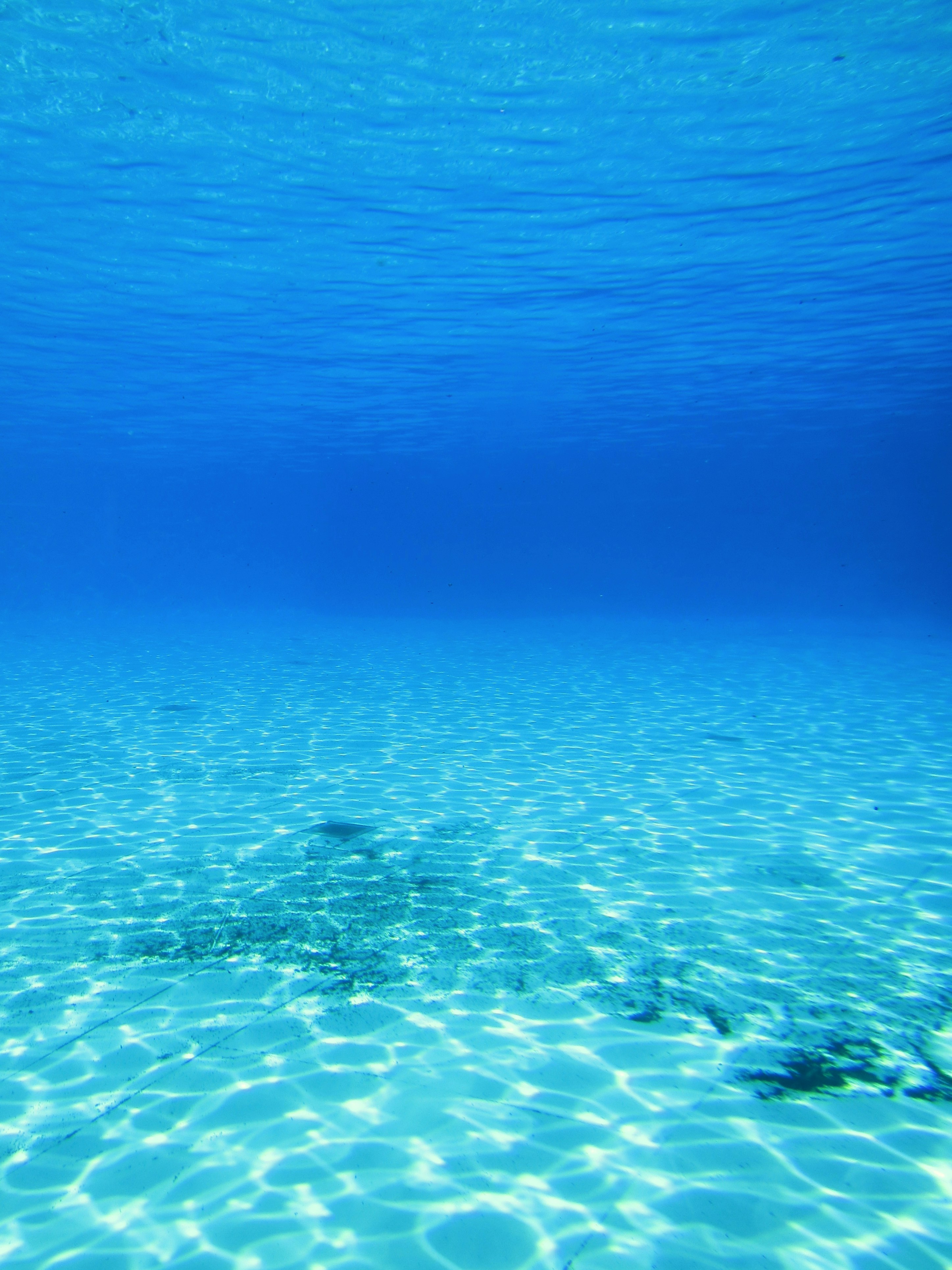An underwater view of a blue ocean with clear water photo – Free Blue ...