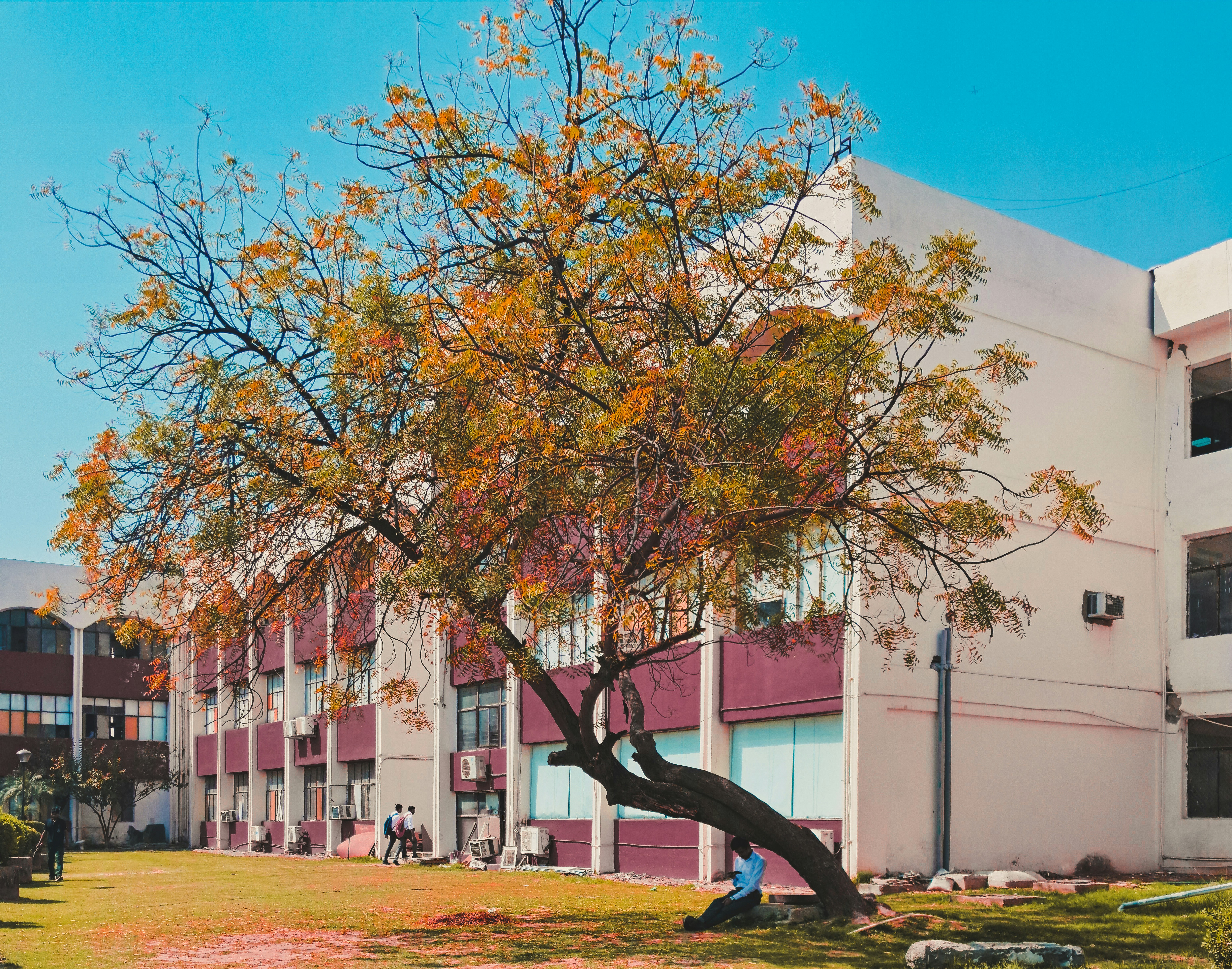 Photo by Bharat Singh with Samsung Galaxy M33