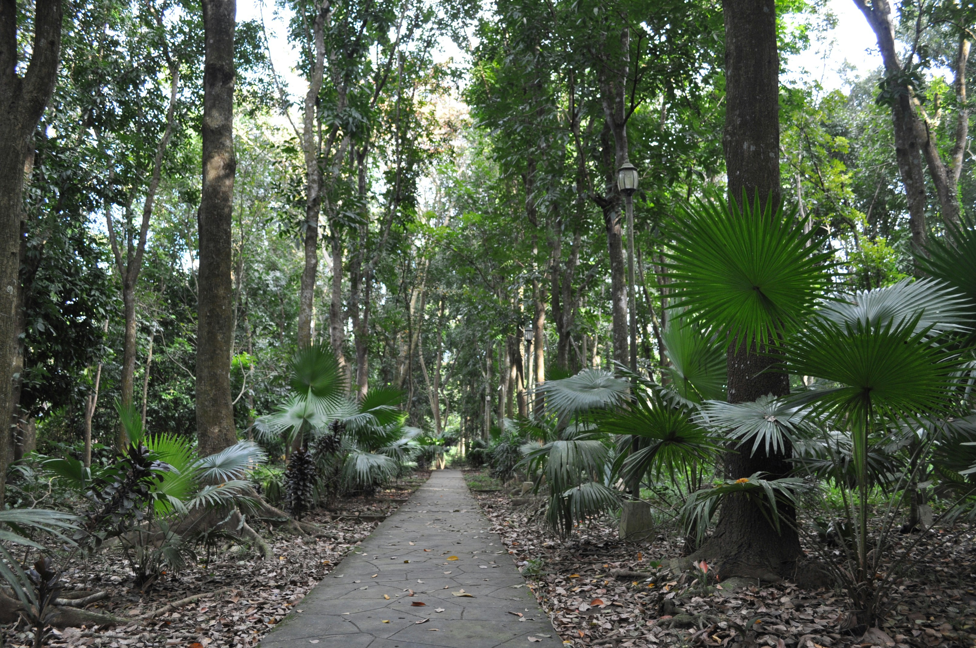 Photo by R SERRANO with Nikon D5000