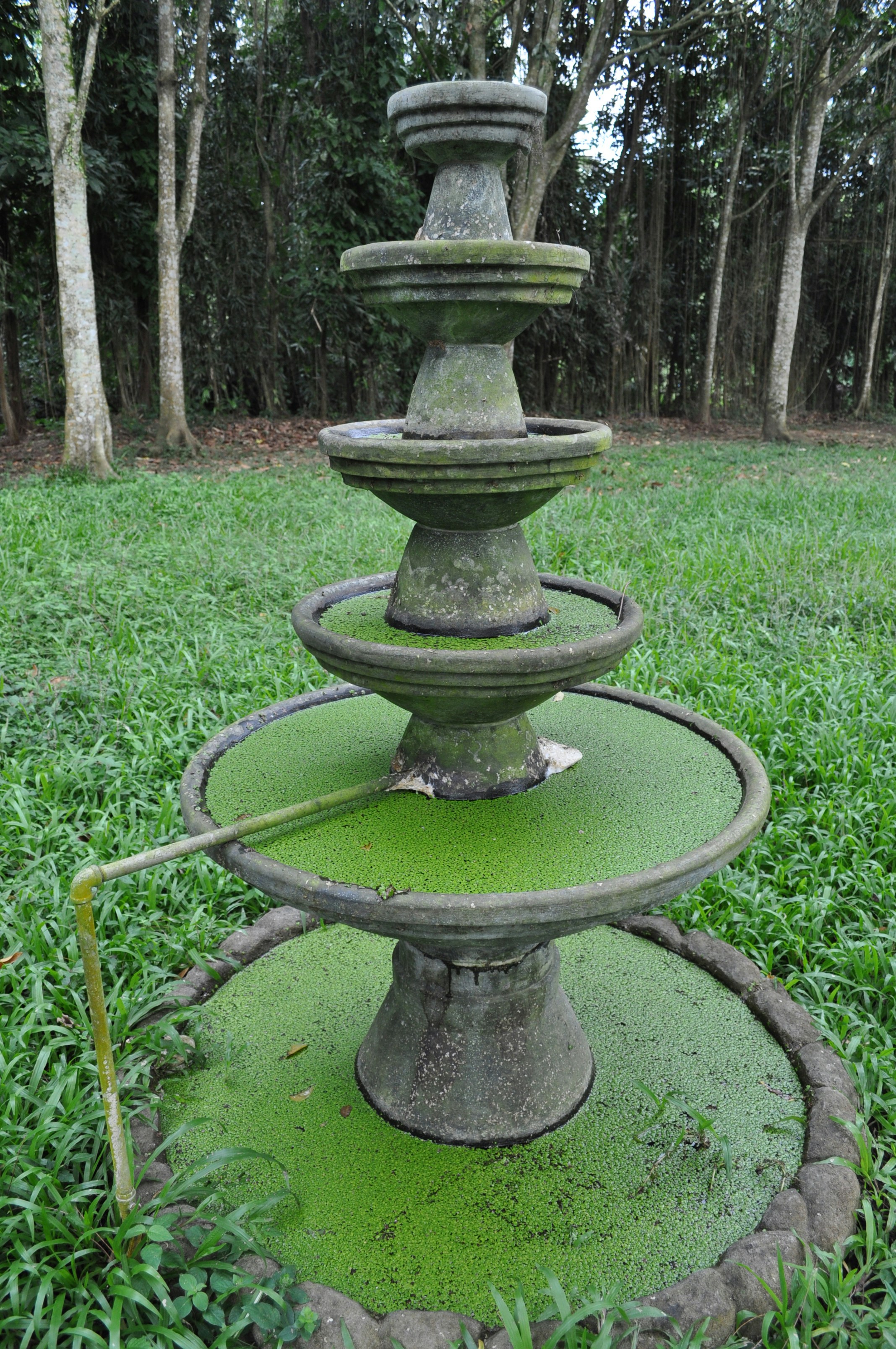 Verdant Stages: A Moss-Covered Tiered Fountain in a Quiet Park