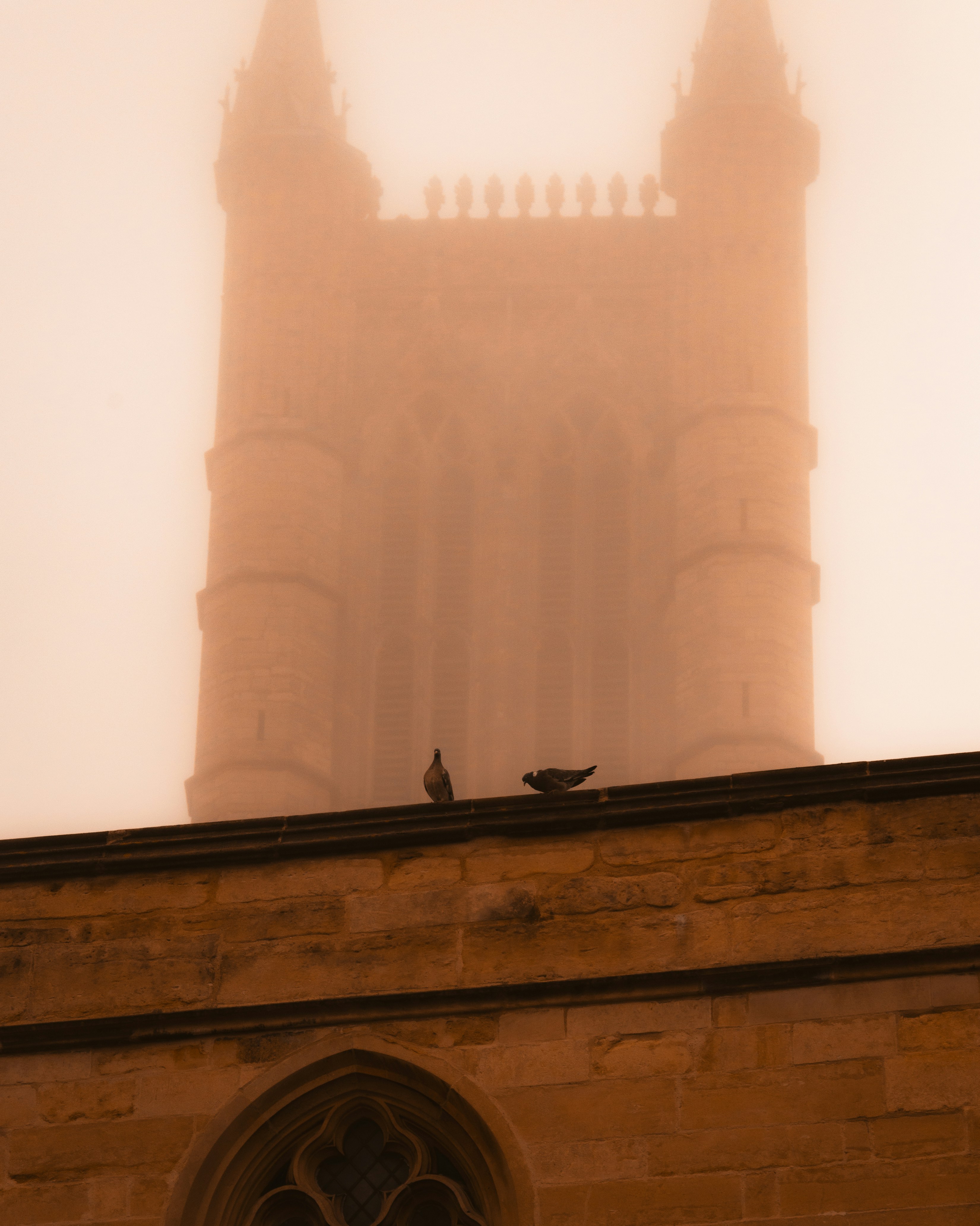 Pigeons on a Brick Ledge Beneath a Hazy Cathedral Spire