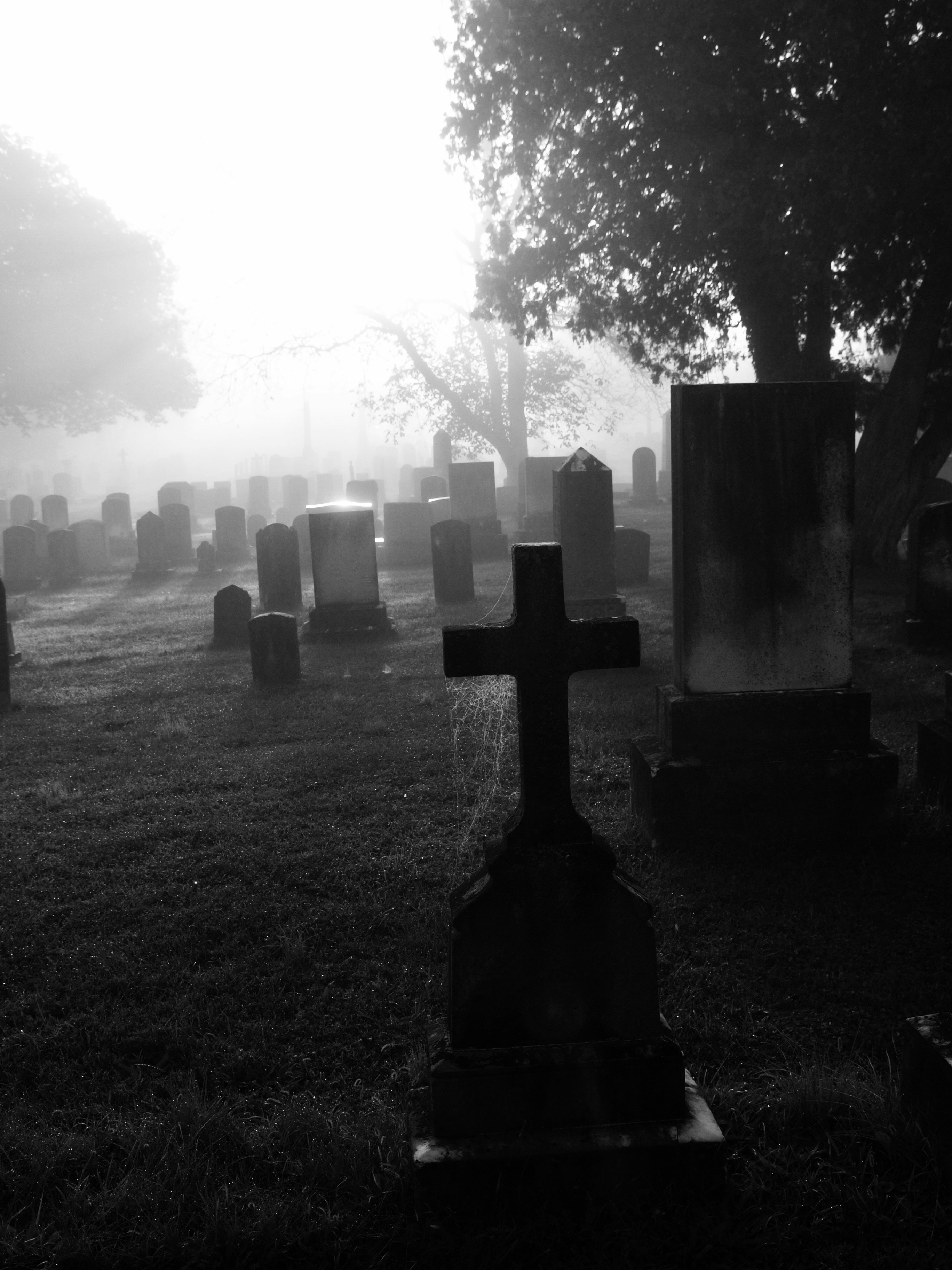 Grayscale cemetery scene with a prominent foreground cross, rows of headstones receding into dense morning fog.