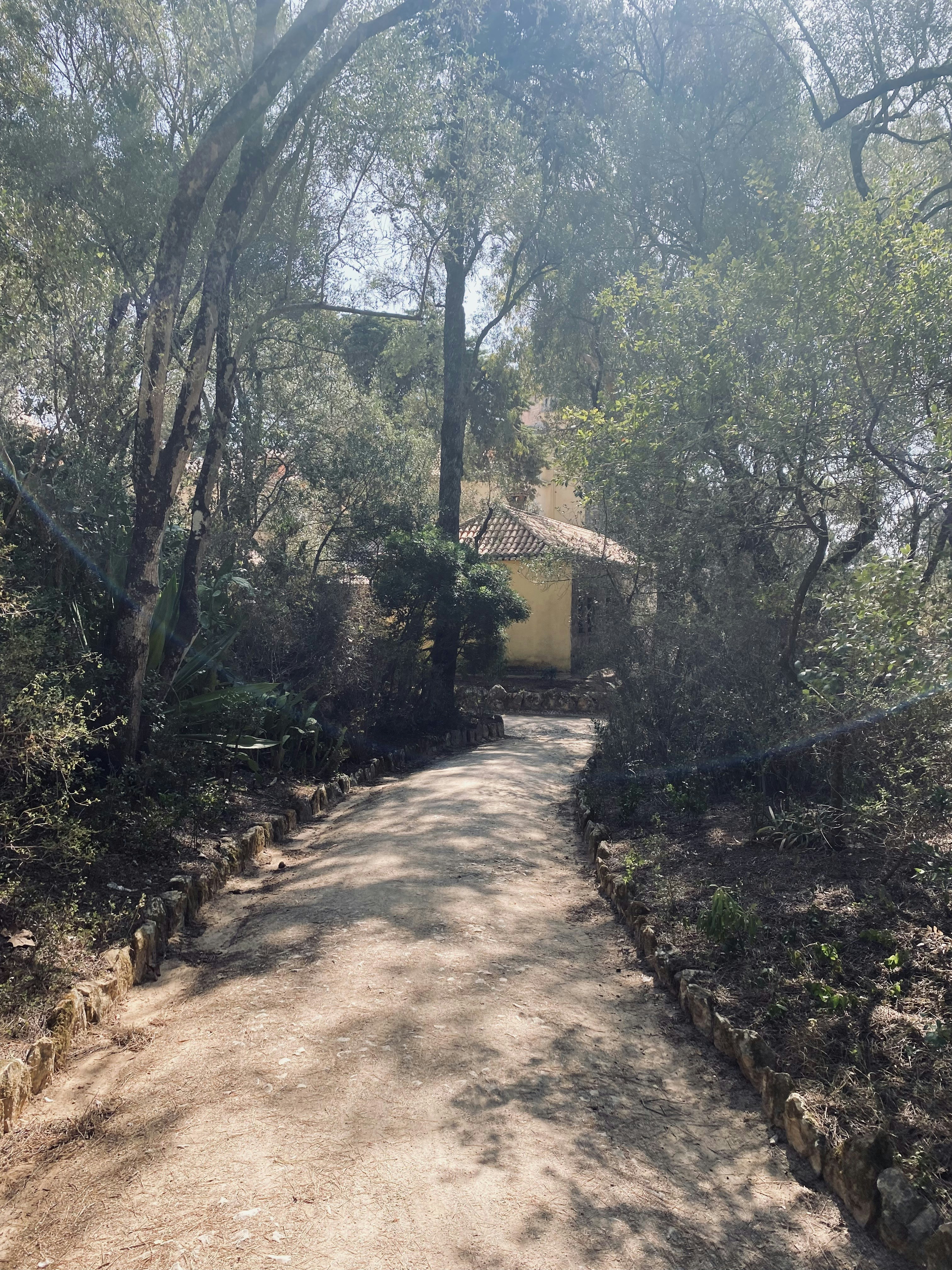Dappled Path to a Quiet Yellow House
