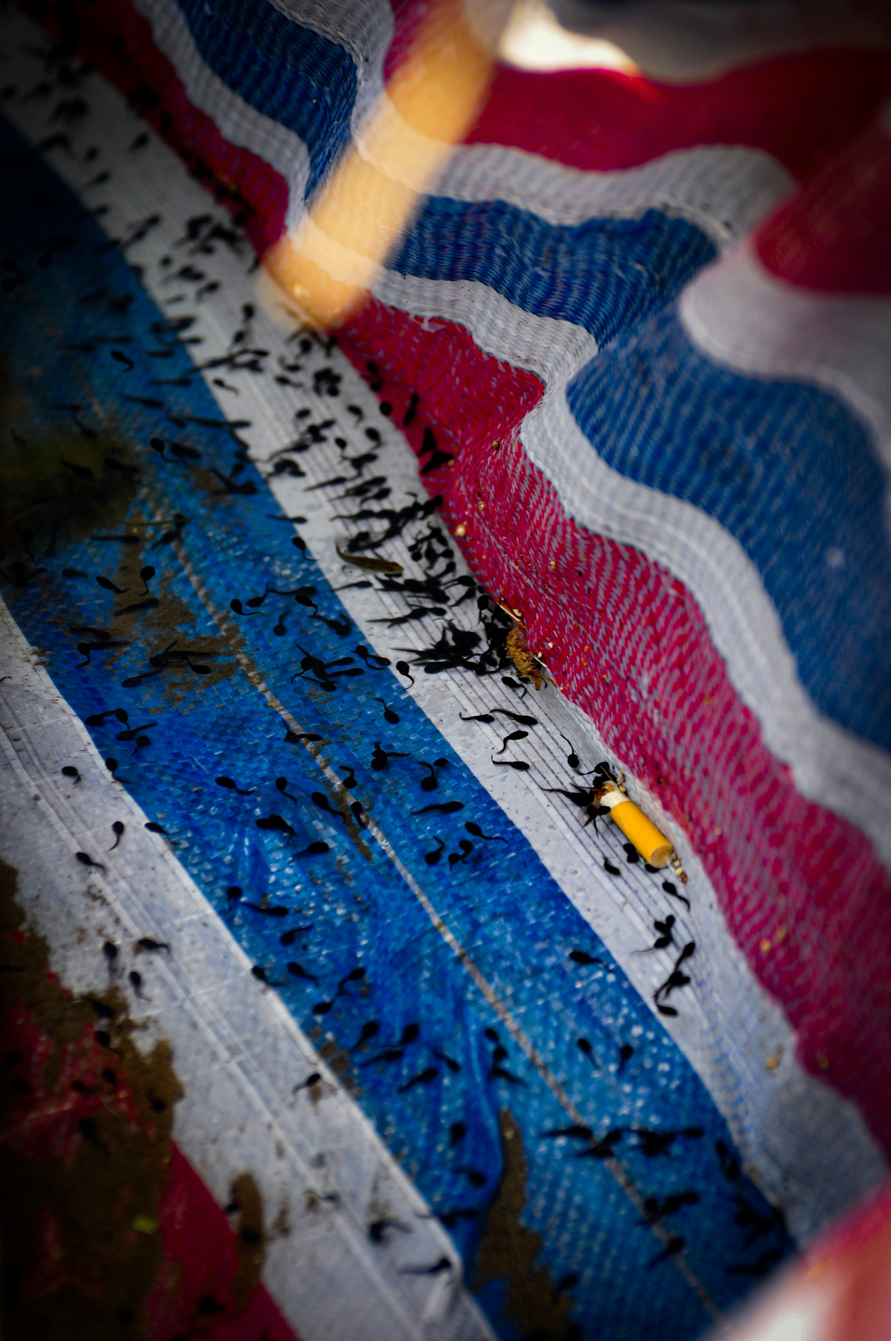 Cigarette among the folds: a sunlit thread of contrast on a colorful textile