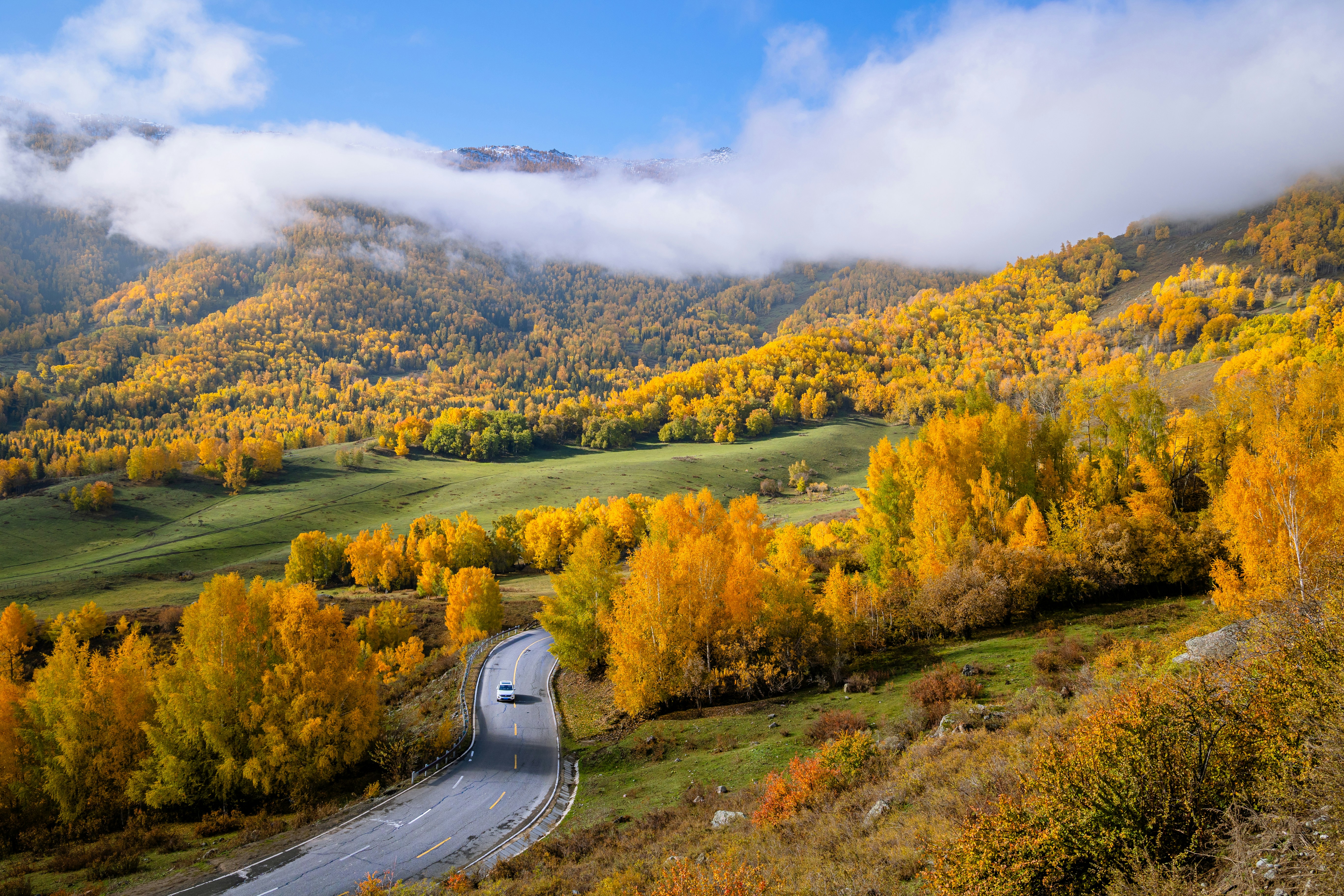 A car driving down a road surrounded by trees photo – Free Car Image on ...