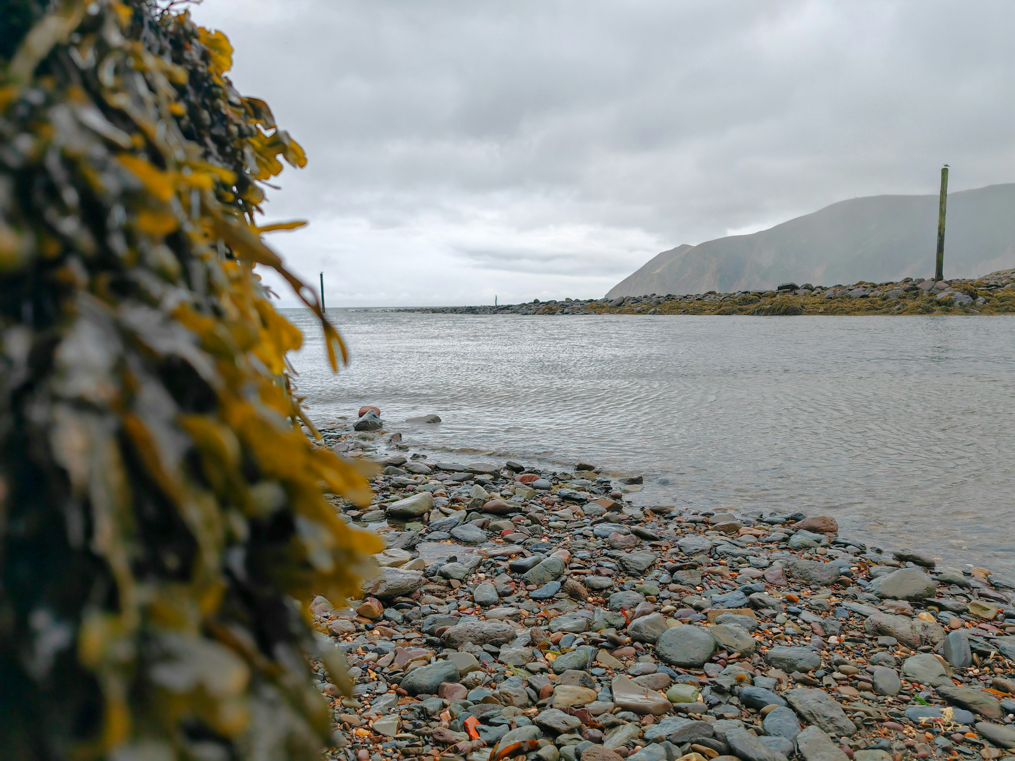Pebble Mosaic at a Quiet Gray Horizon