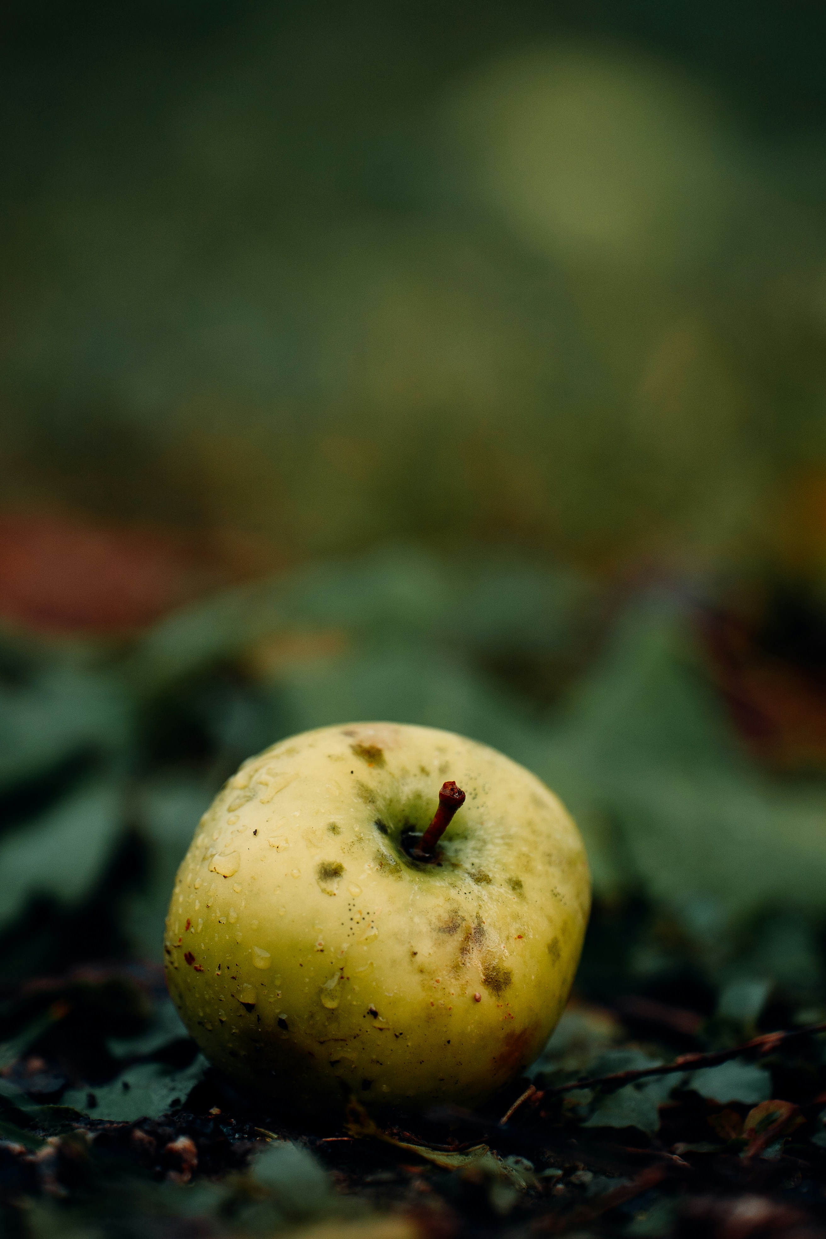 Photo by Vitalii Khodzinskyi with Sony Alpha 7 III