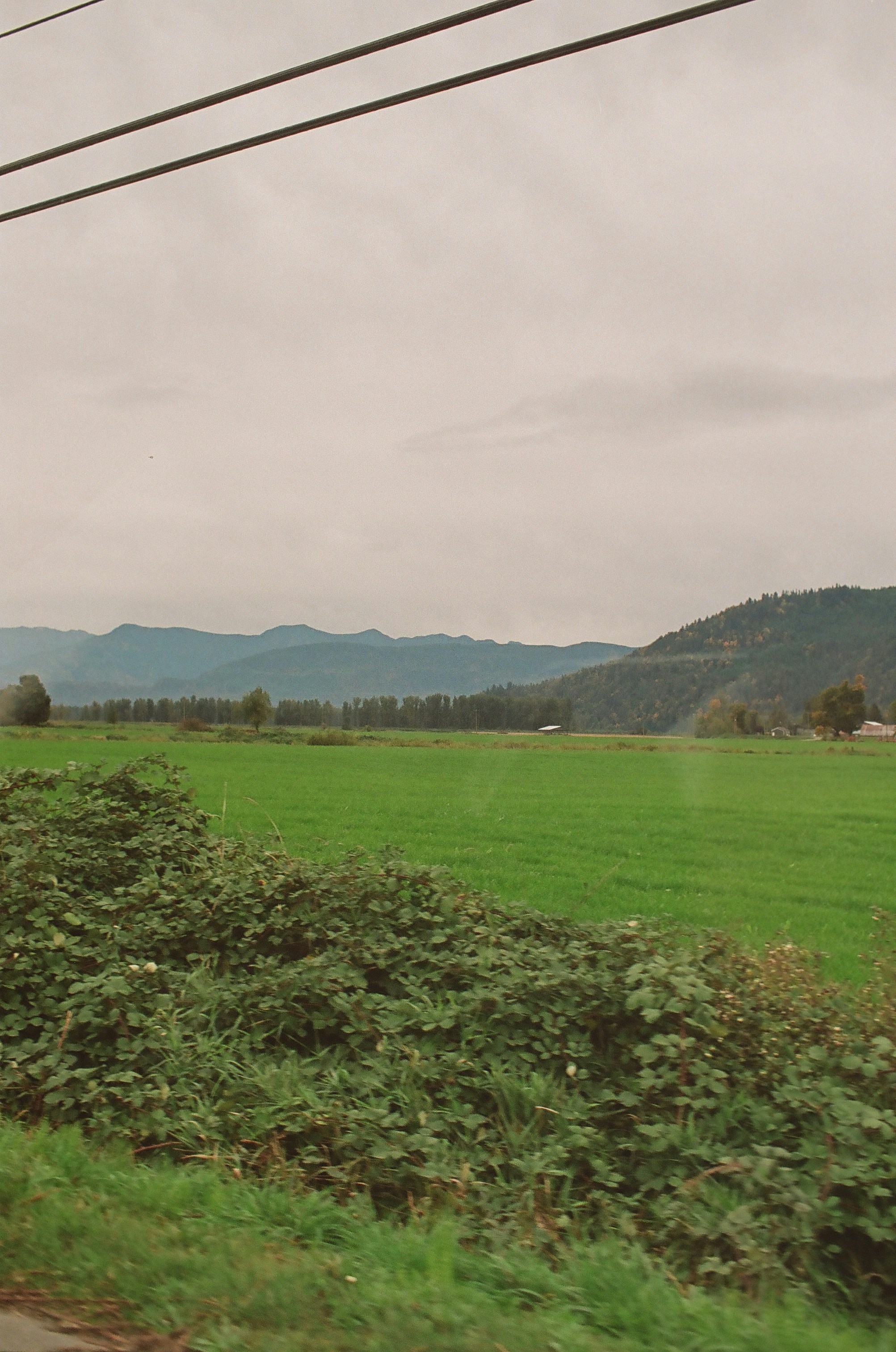 Sweeping rural landscape with a vivid green field, distant hills, and a soft, overcast sky.