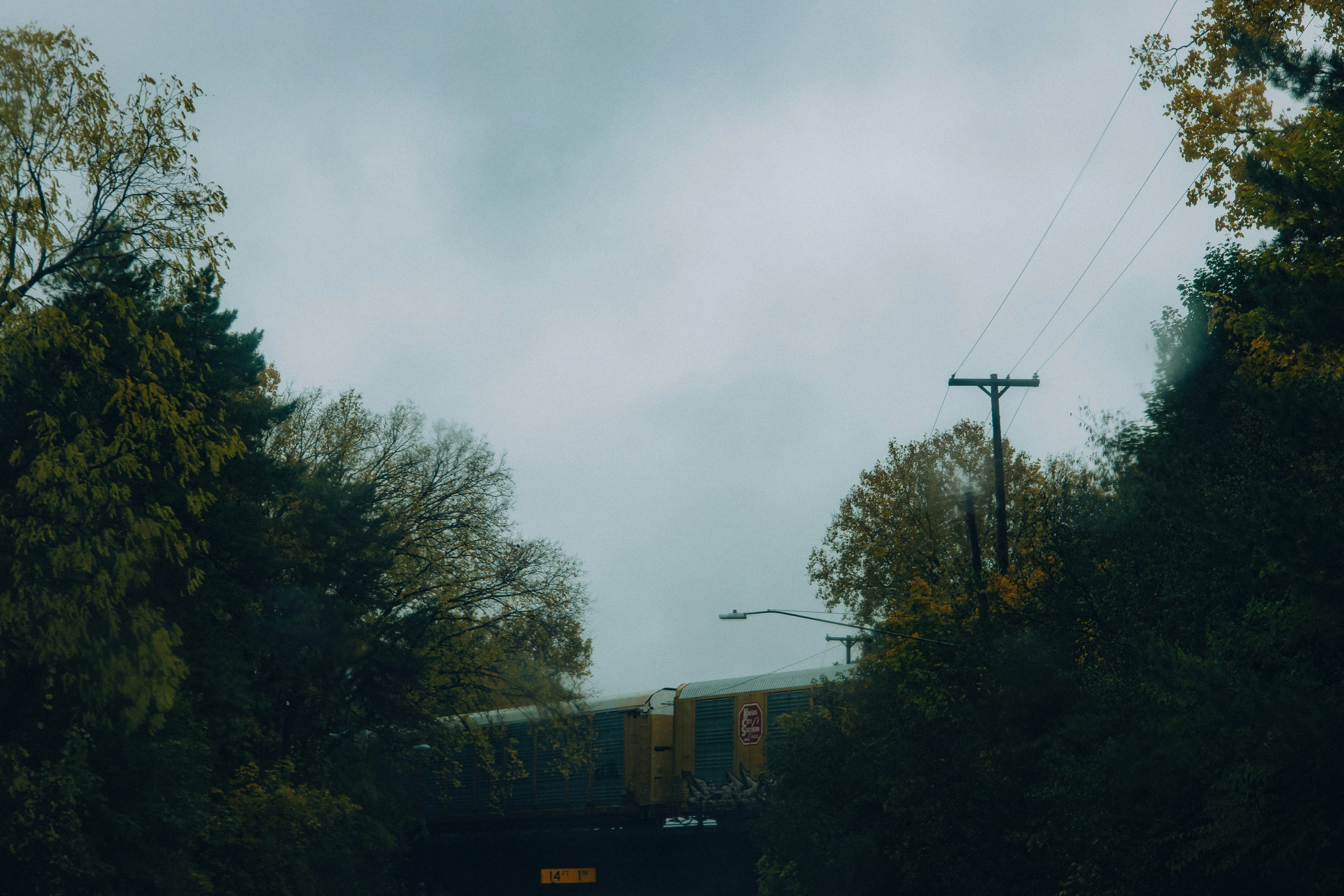 Timberline Express: A Quiet Freight Crossing Through a Green Corridor