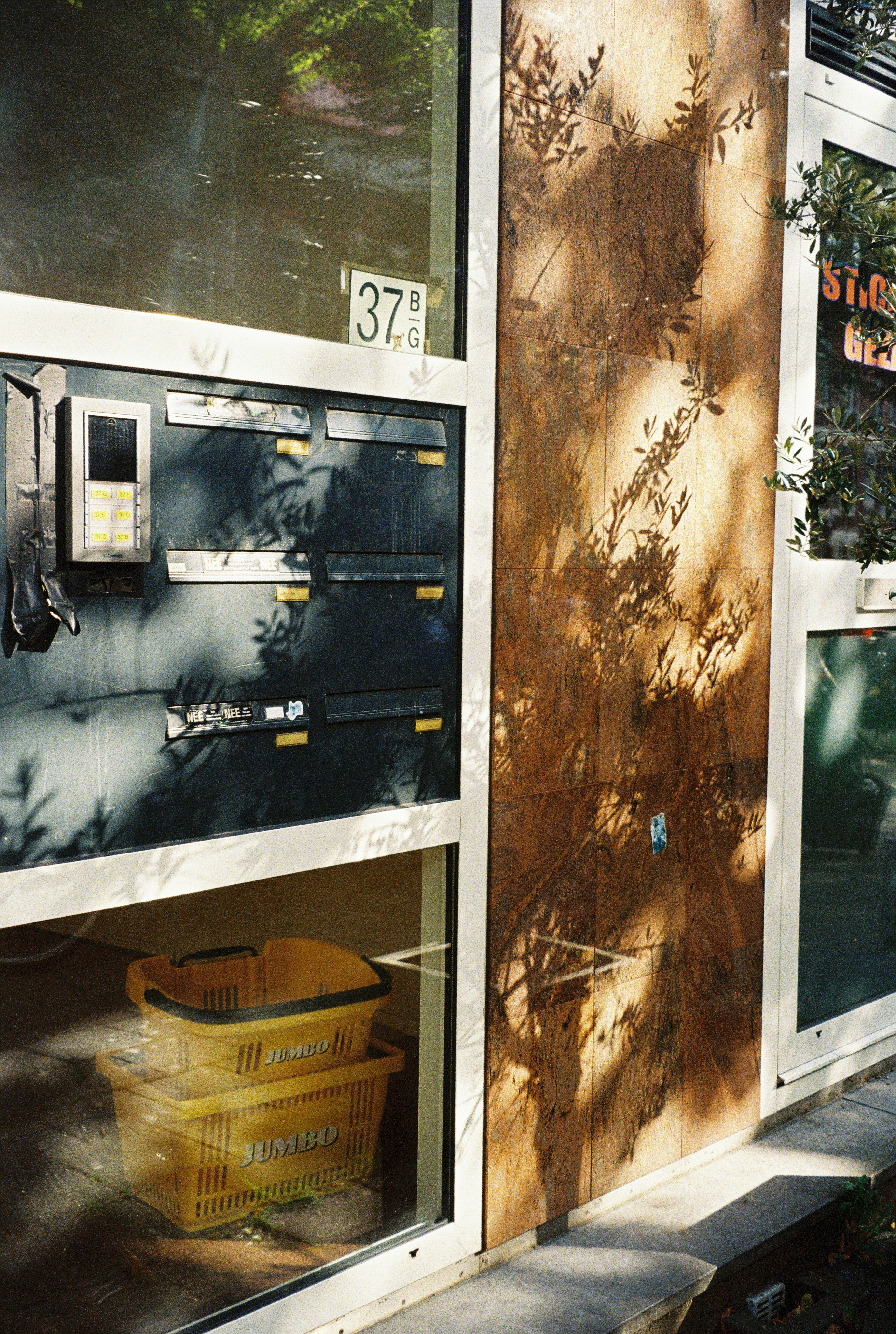 Sunlit storefront with glass windows, a mailbox panel, and a cedar-toned wooden wall casting leaf shadows. Yellow crates are visible through the lower window.